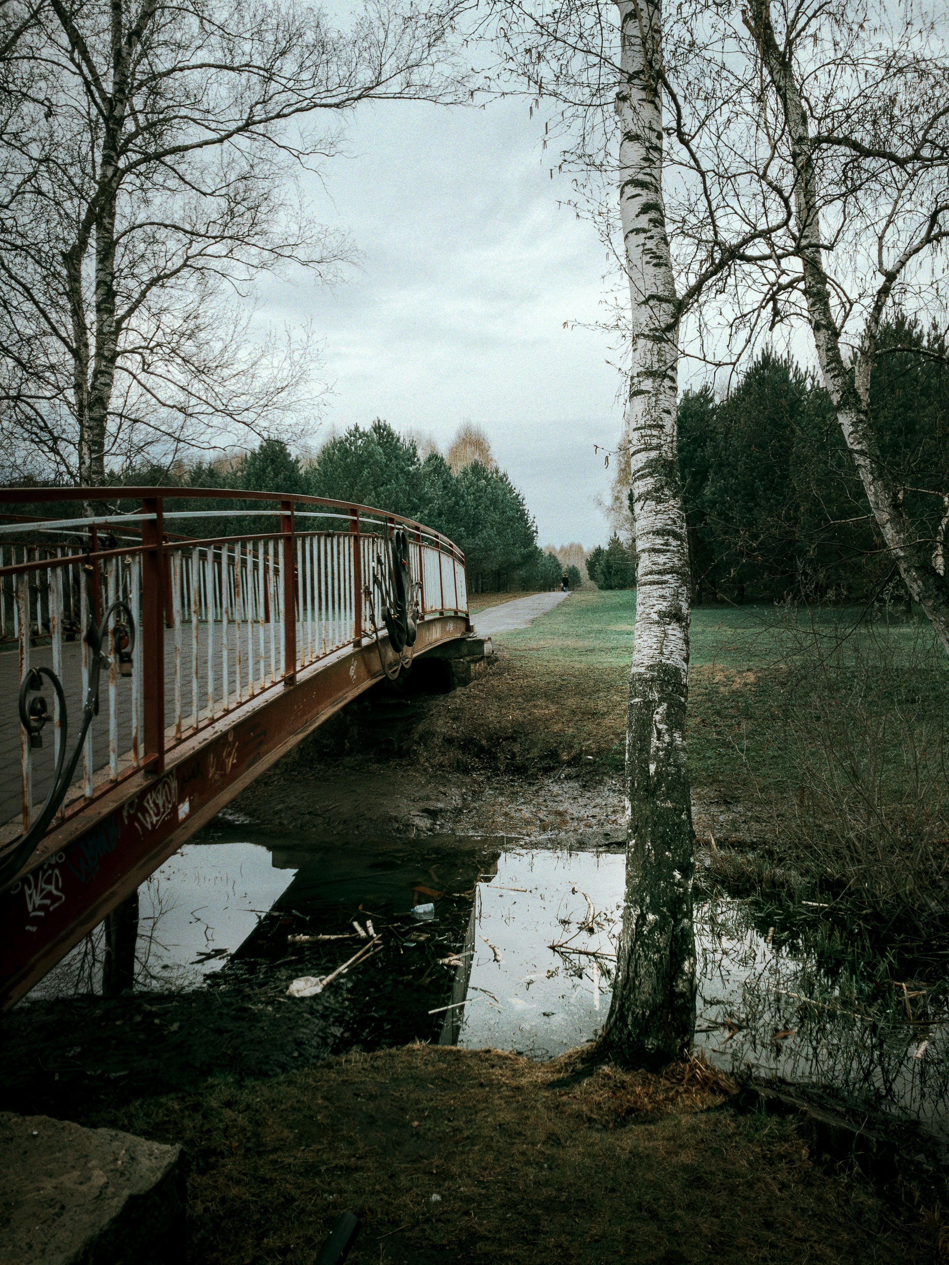 Rusty Bridge Slender Arc Over Quiet Flooded Bank