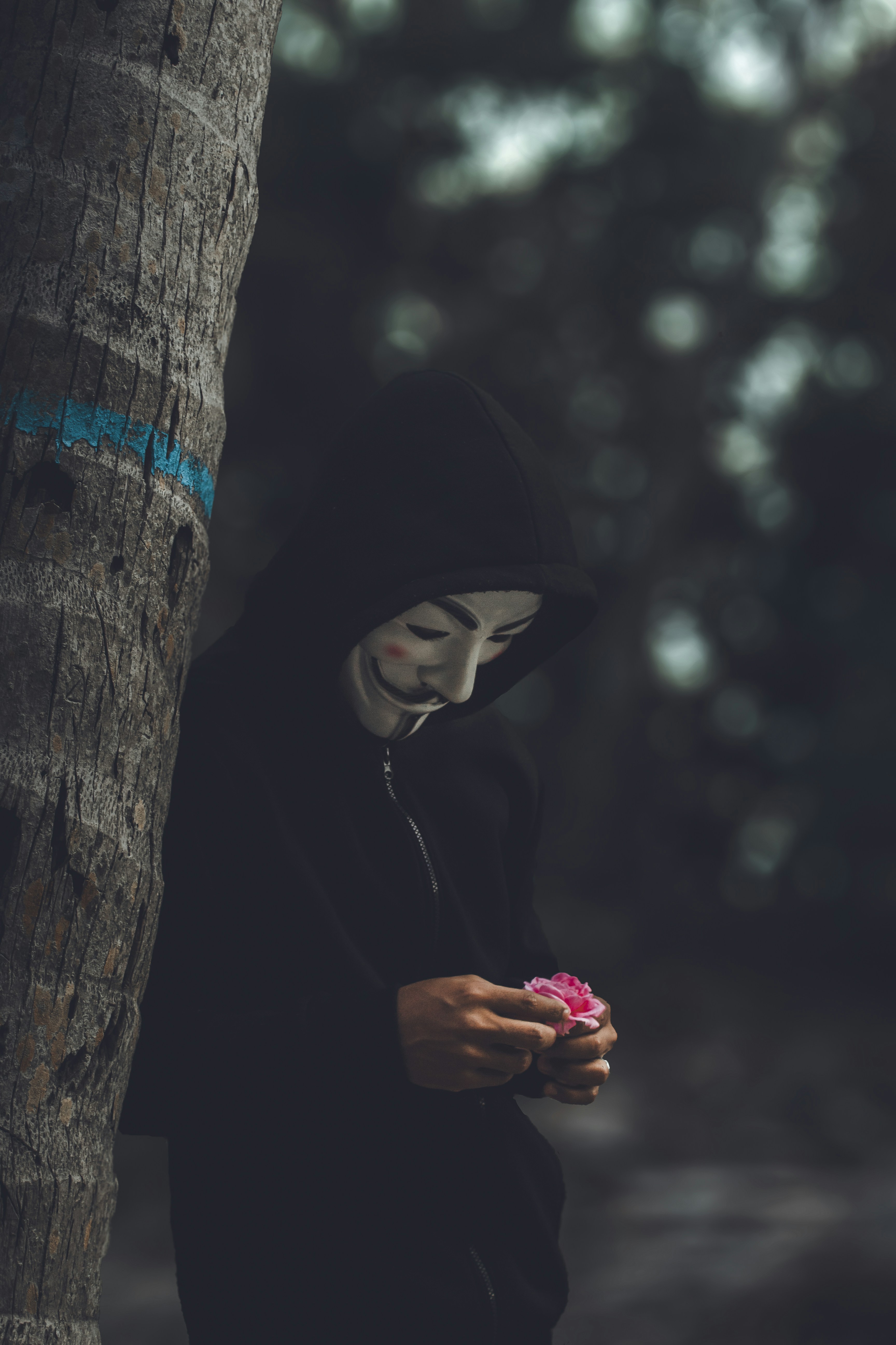 Anonymous Glow: A Quiet Moment with a Pink Bloom