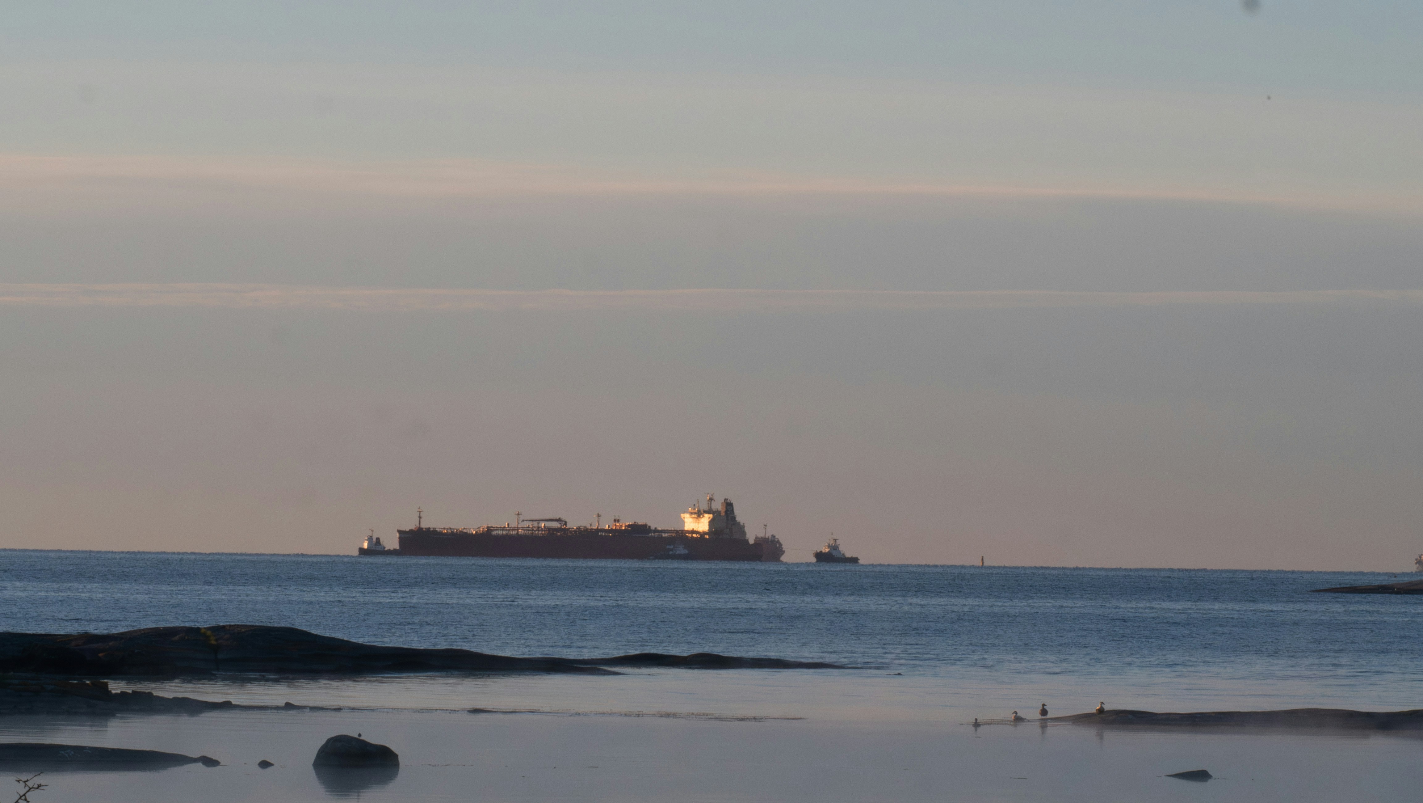 Sea-Tailed Horizon: A Cargo Vessel on a Calm Expanse