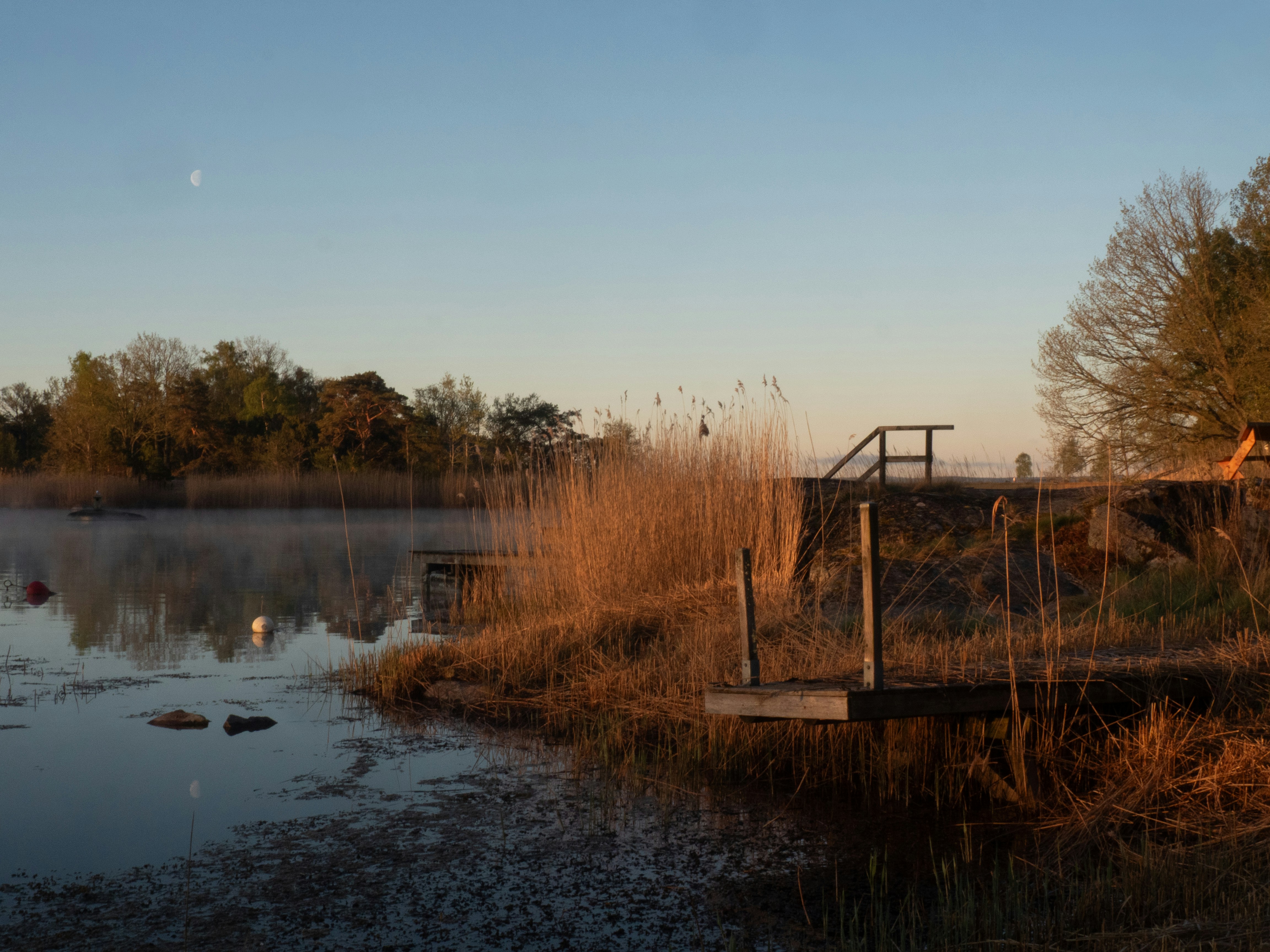 Dawn on the Quiet Boardwalk