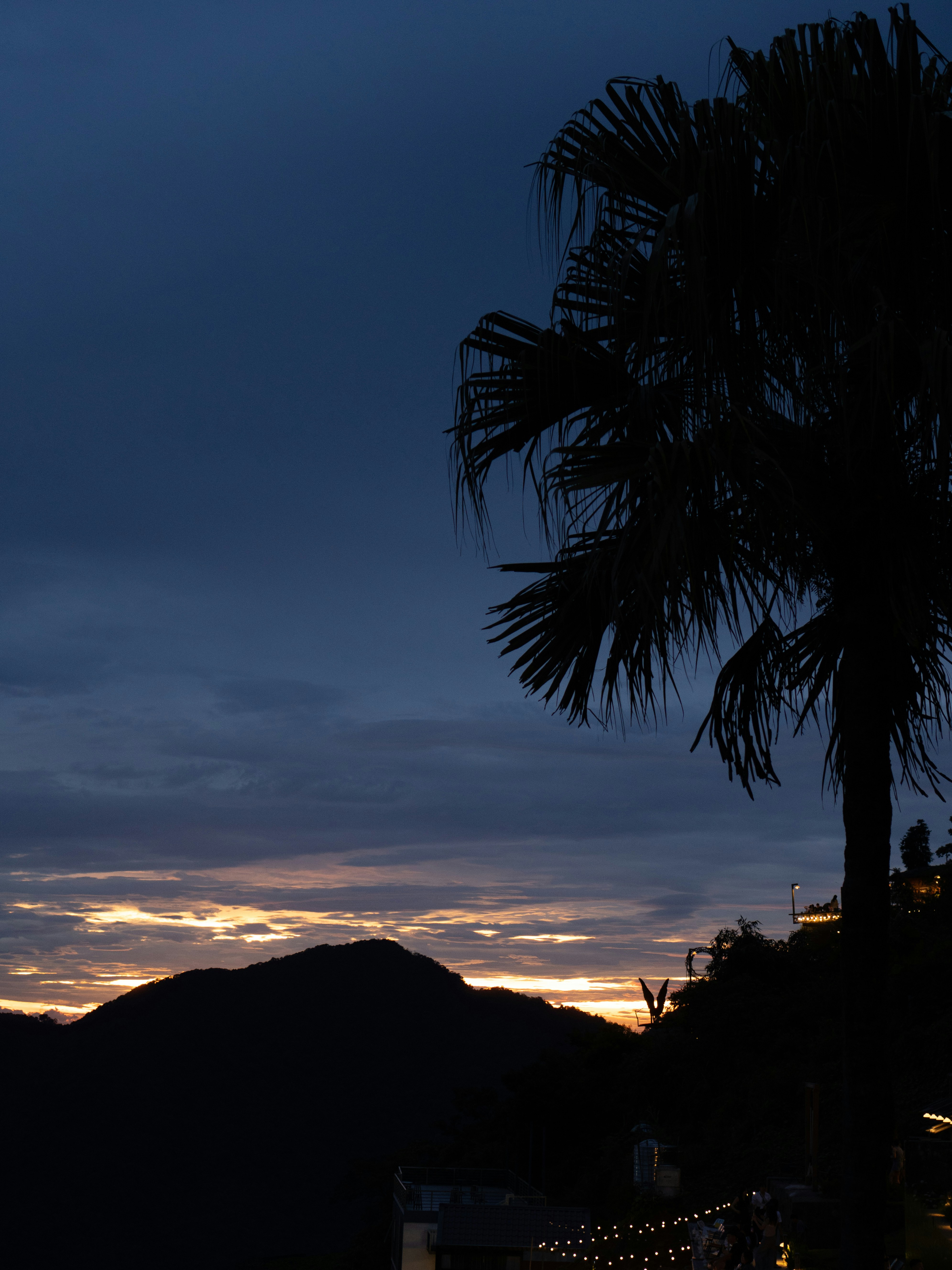 Sunset Silhouette Beyond the Palm and Ridge