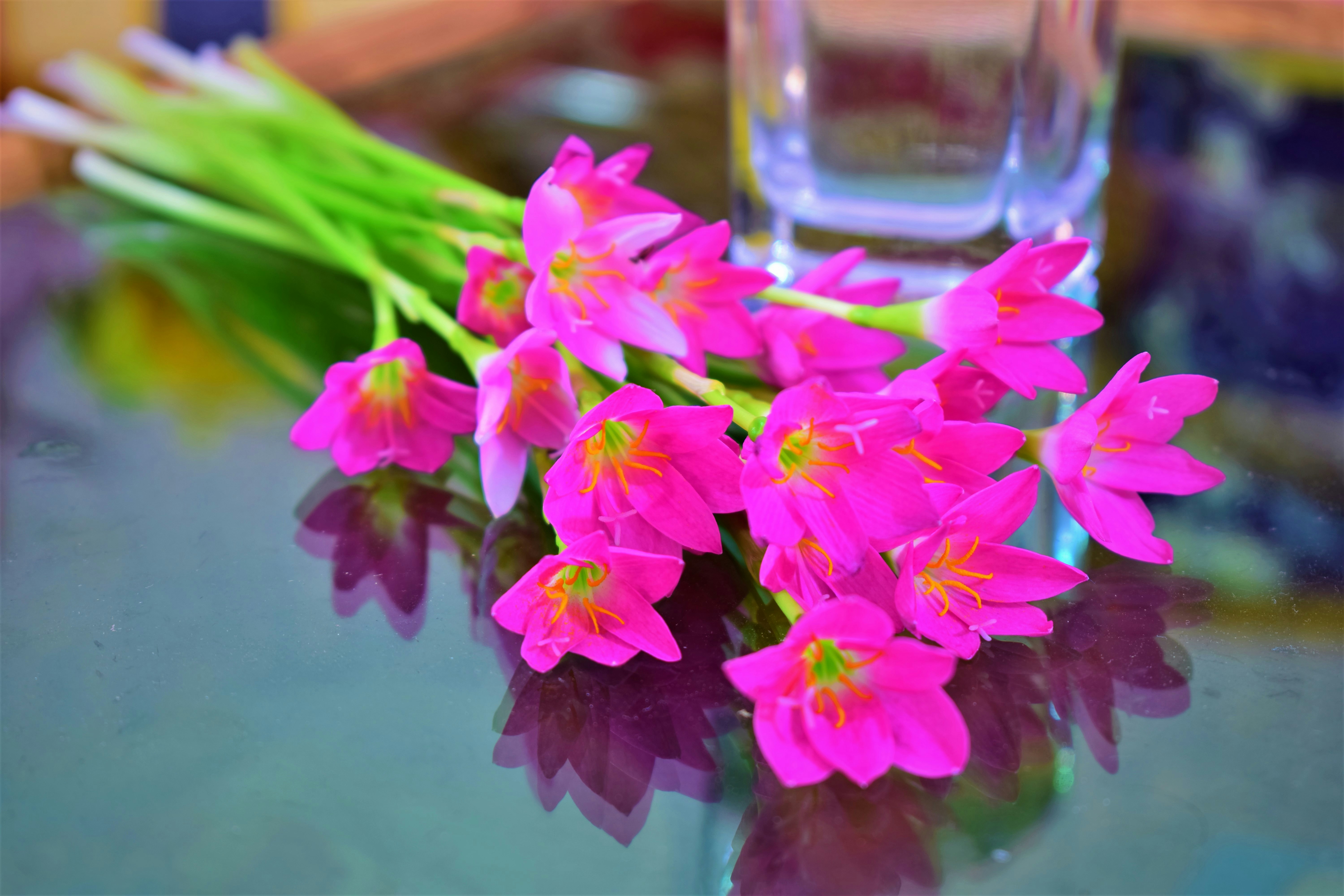 Pink Bouquets on a Glassy Surface