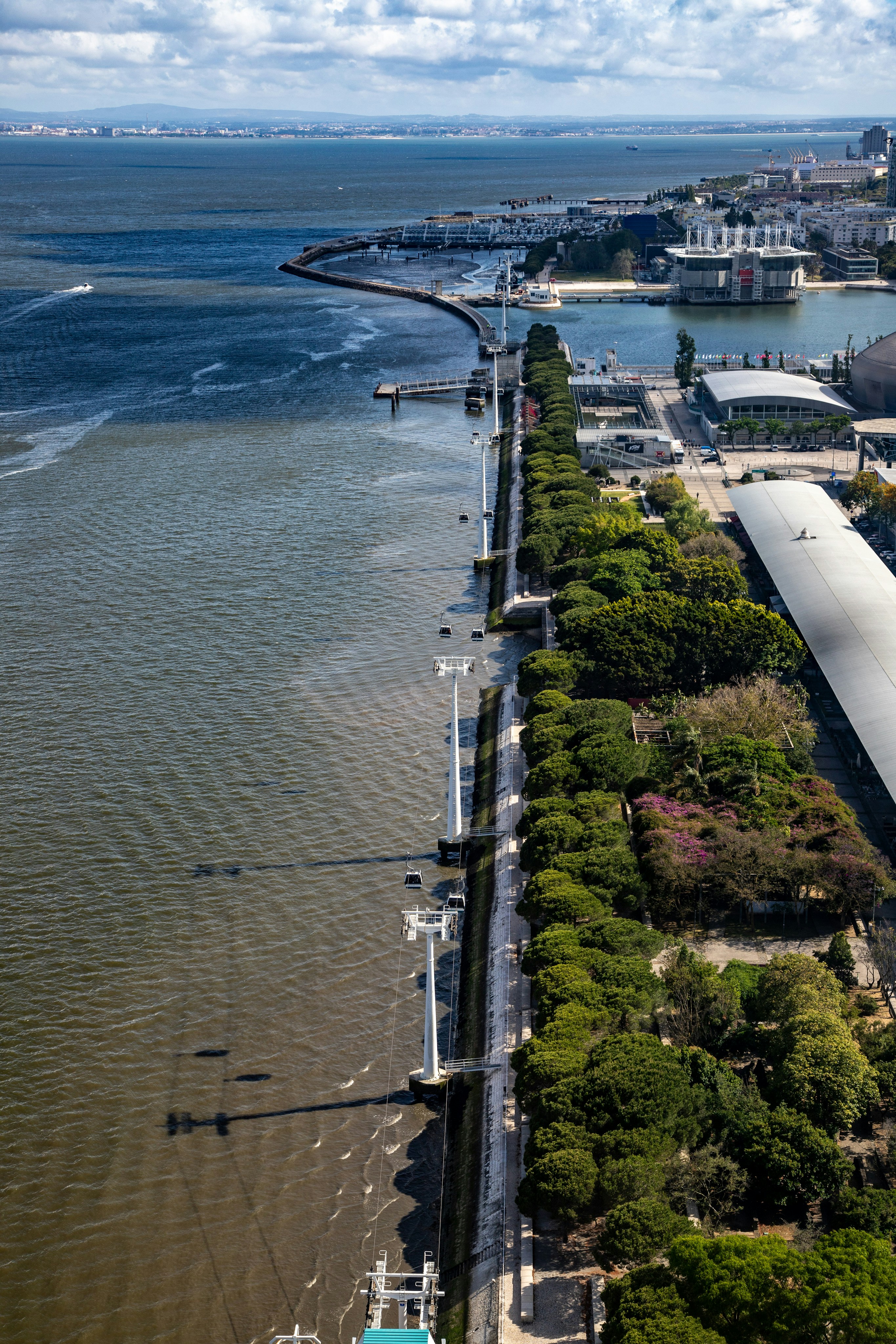 Lunging Seashore Promenade: A Coastal City Edge Framed by Greenery and Water