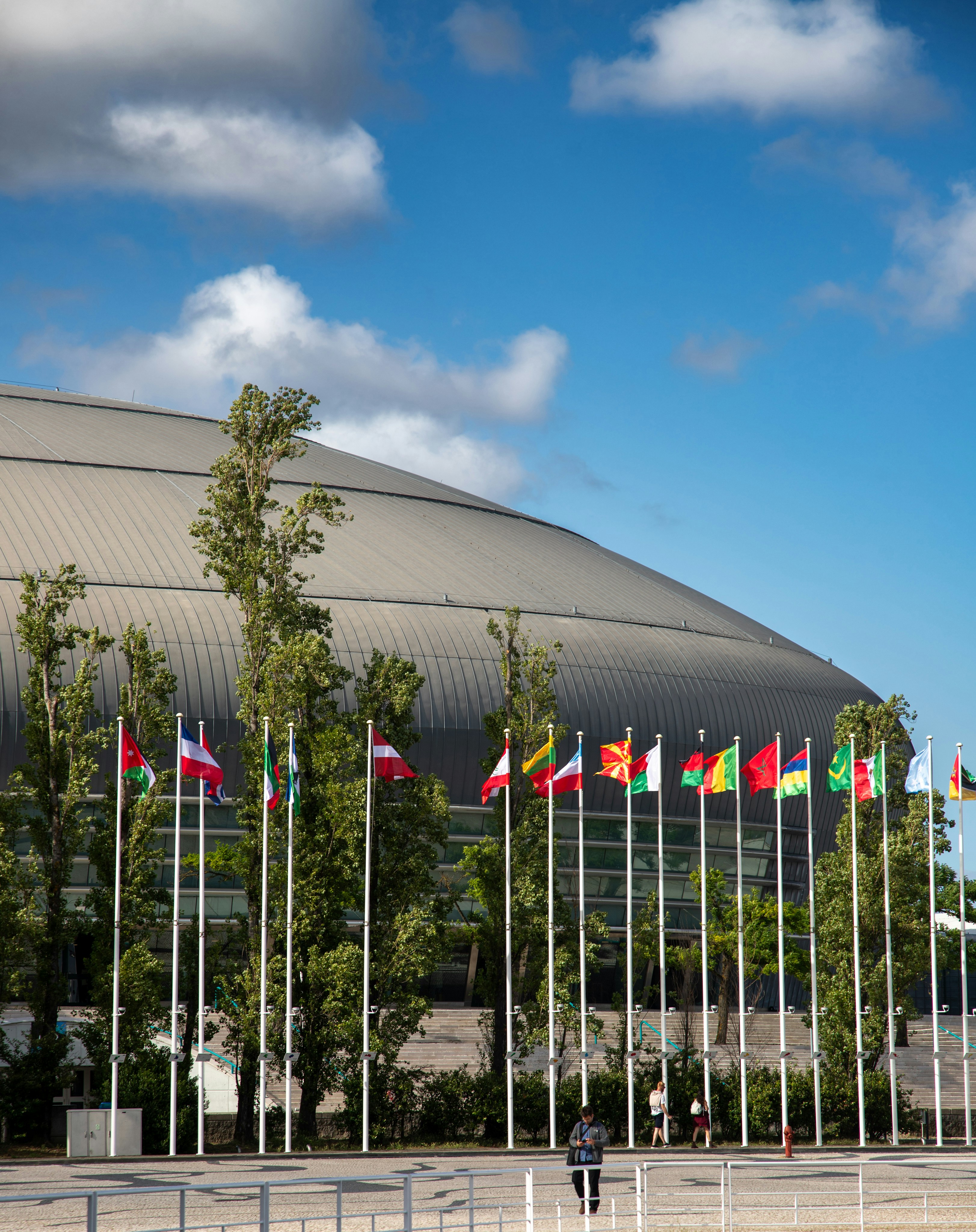 Flags at the Arena: A Row of International Colors in the Park