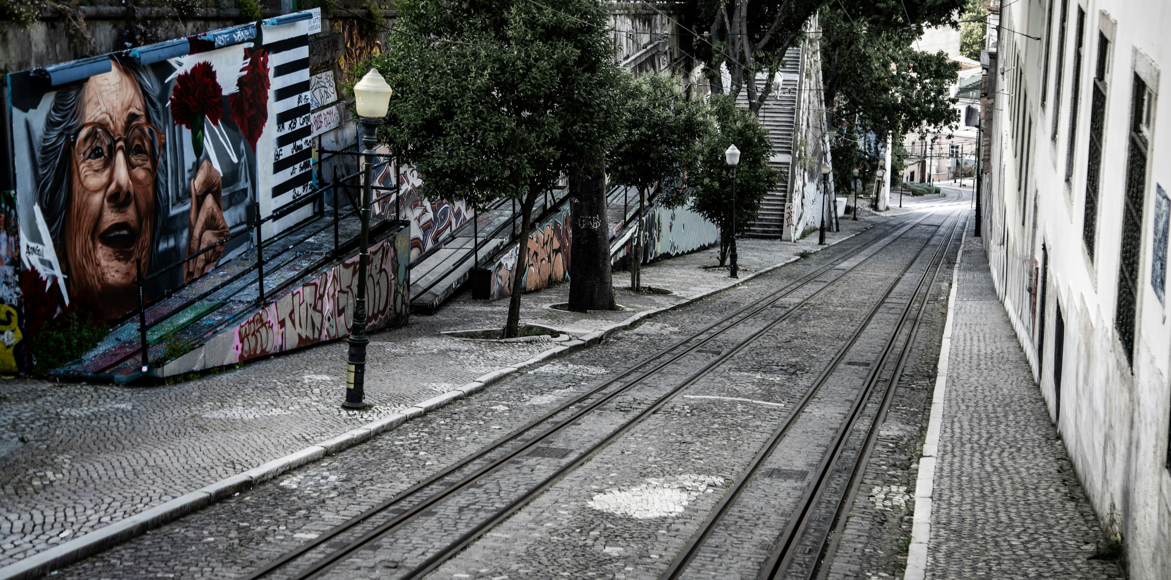 The Quiet Rails of an Urban Slope