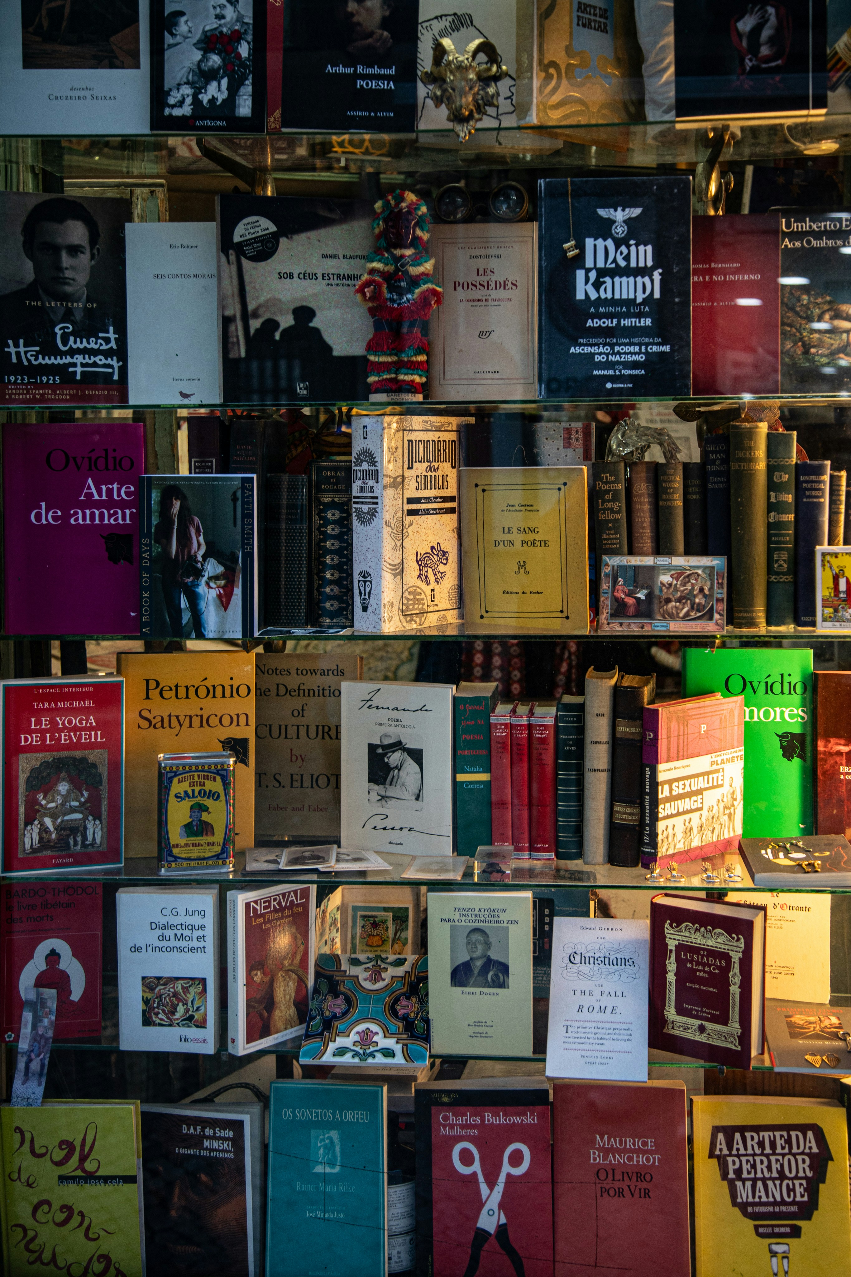 Colorful Bookshelf of Awards and Tales