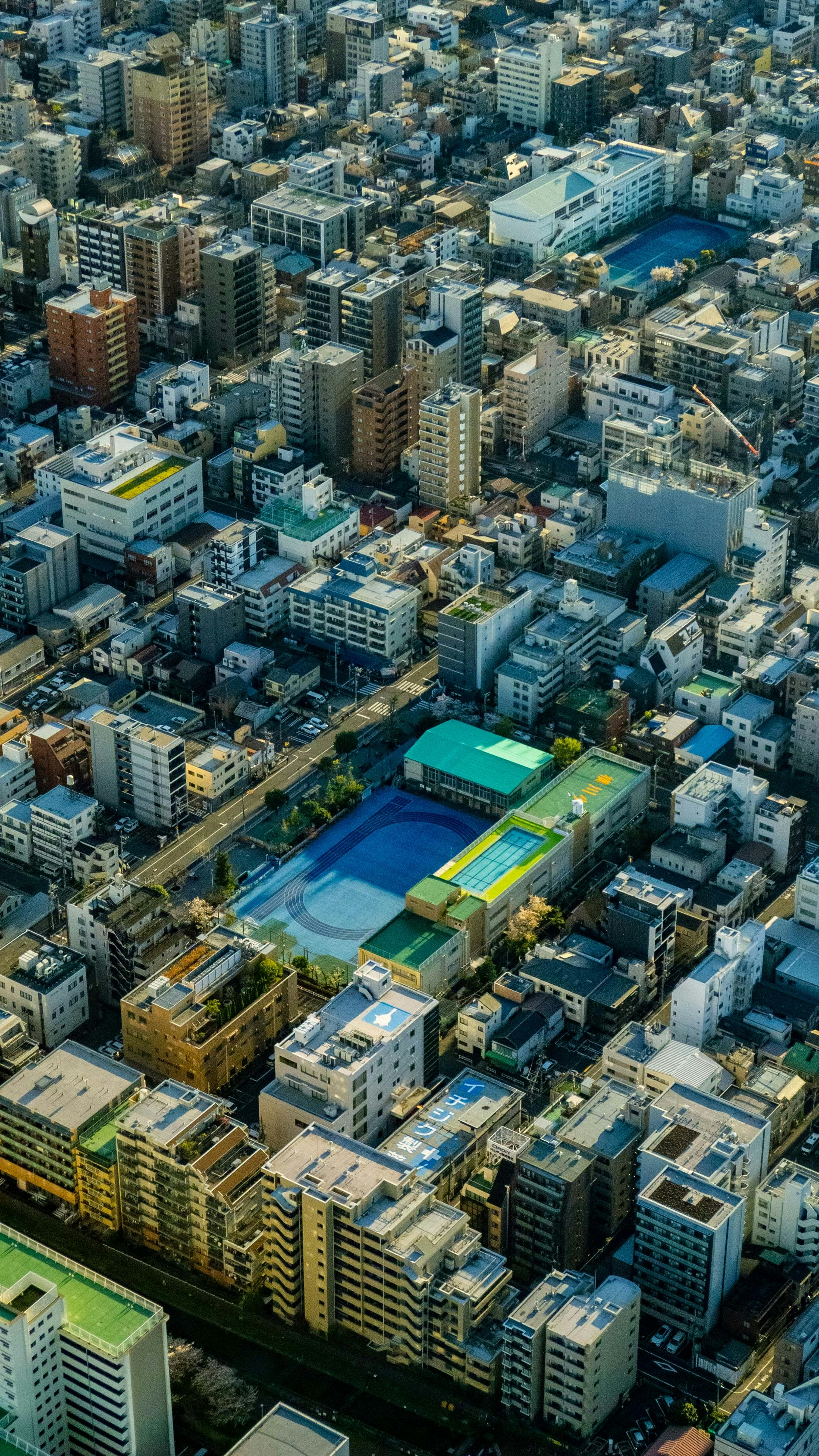 Aerial Maze: Stadiums and Rooftops Nestled in a Dense Urban Grid