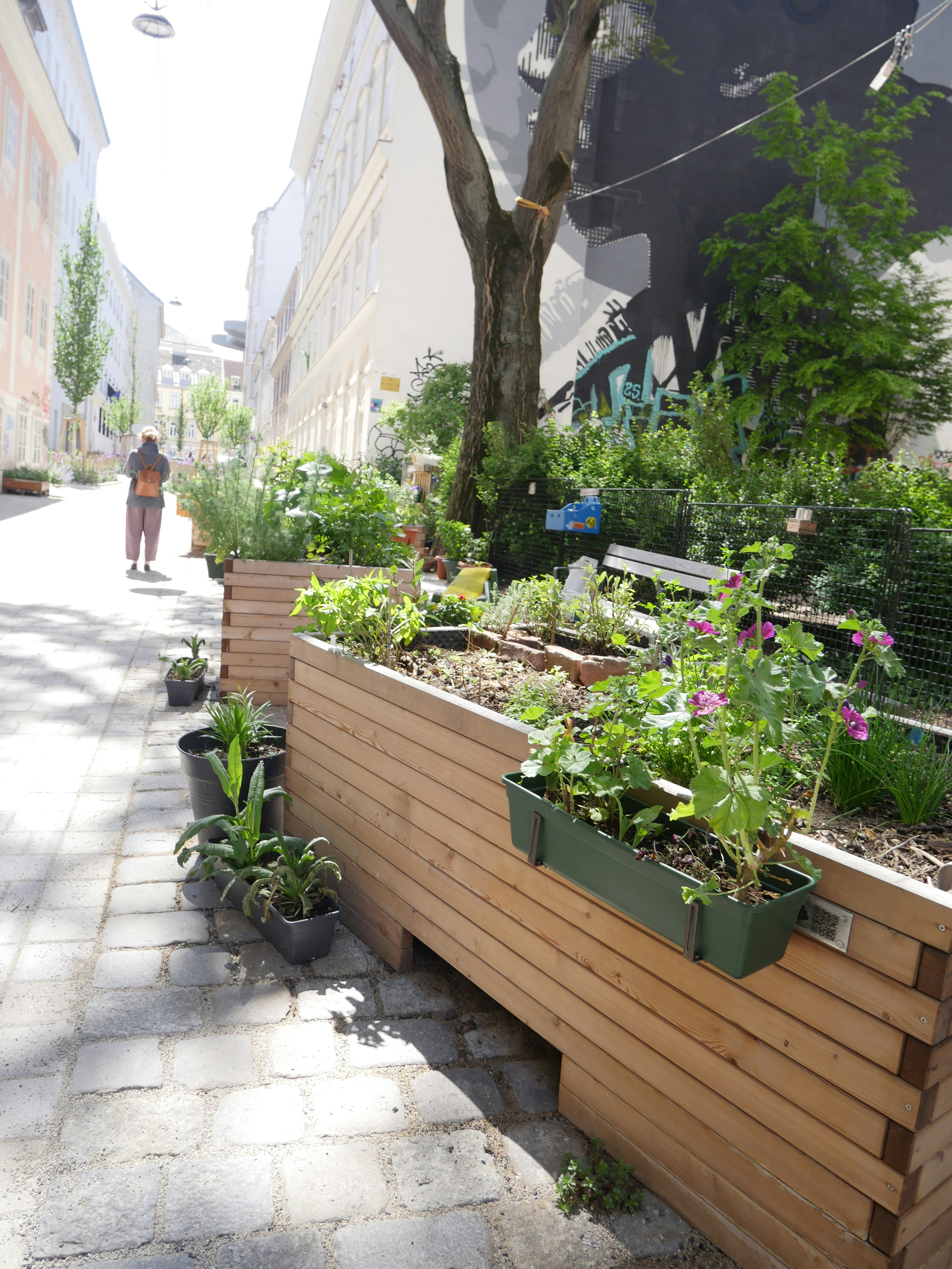 Urban balcony garden pathway: sunlit plants and a lone passerby