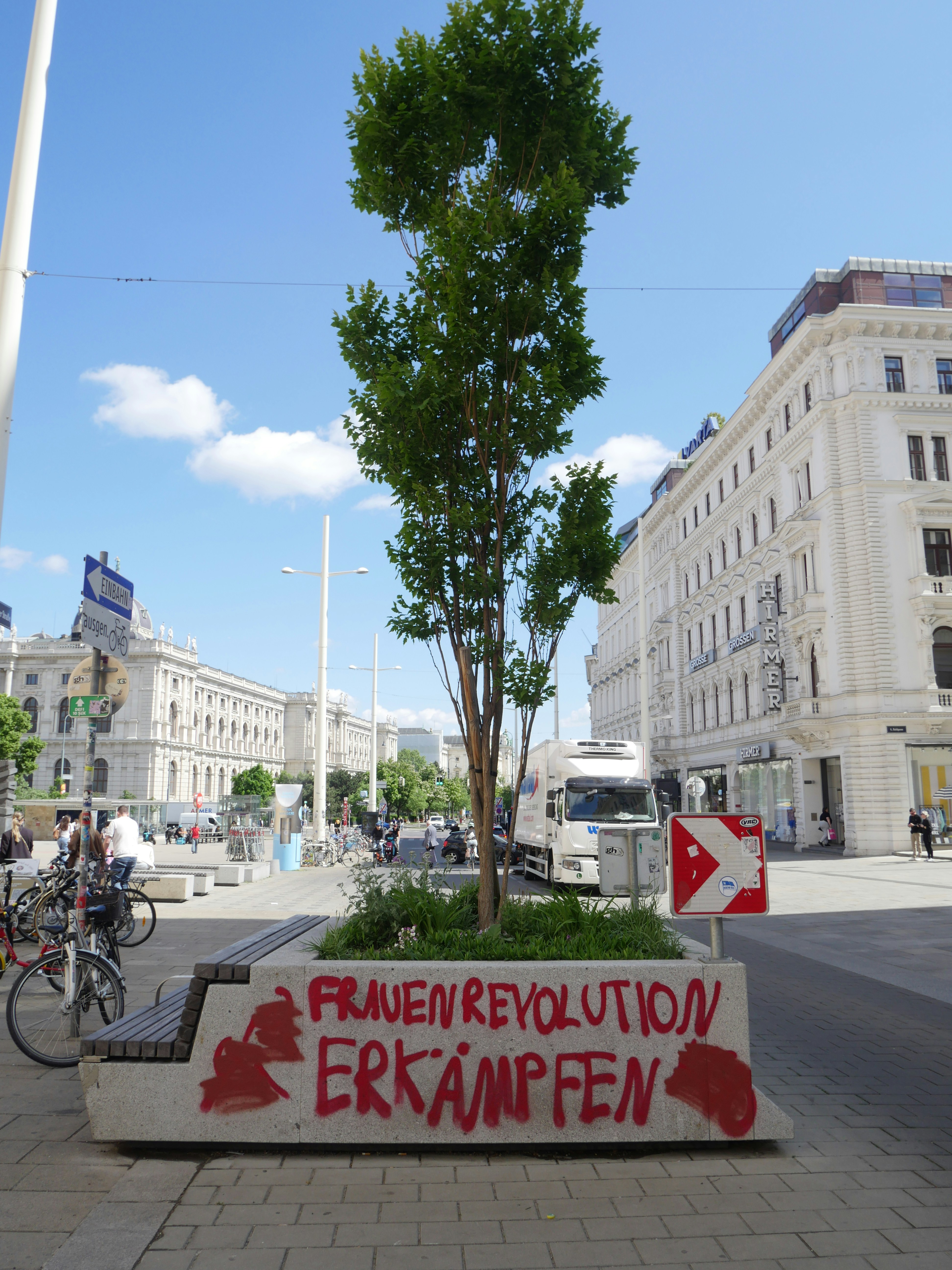 Urban Tree Center: A City Square Framed by Elegance and Graffiti