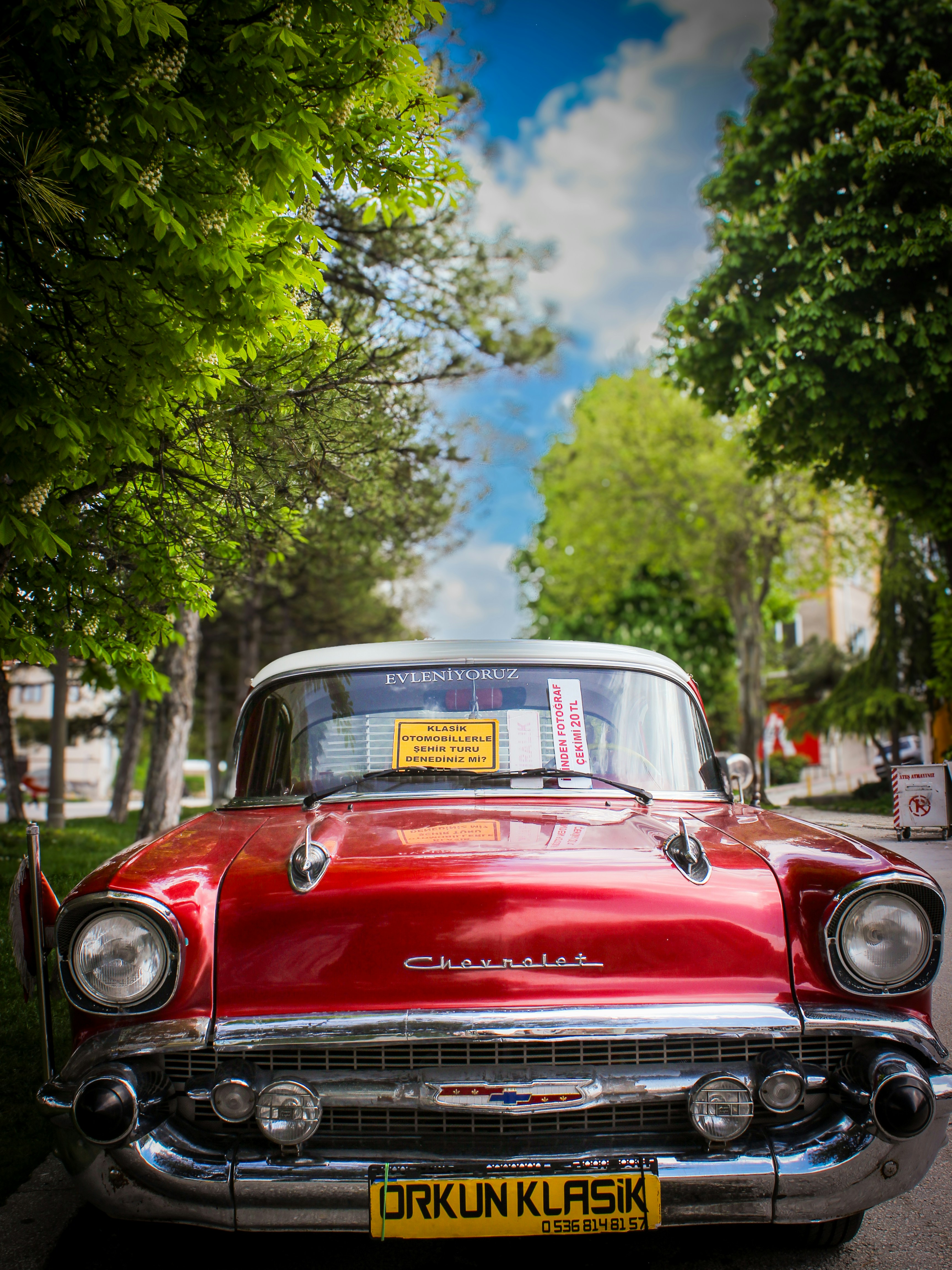Sunlit Classic: The Red Chevrolet Guarded by Green Canopy