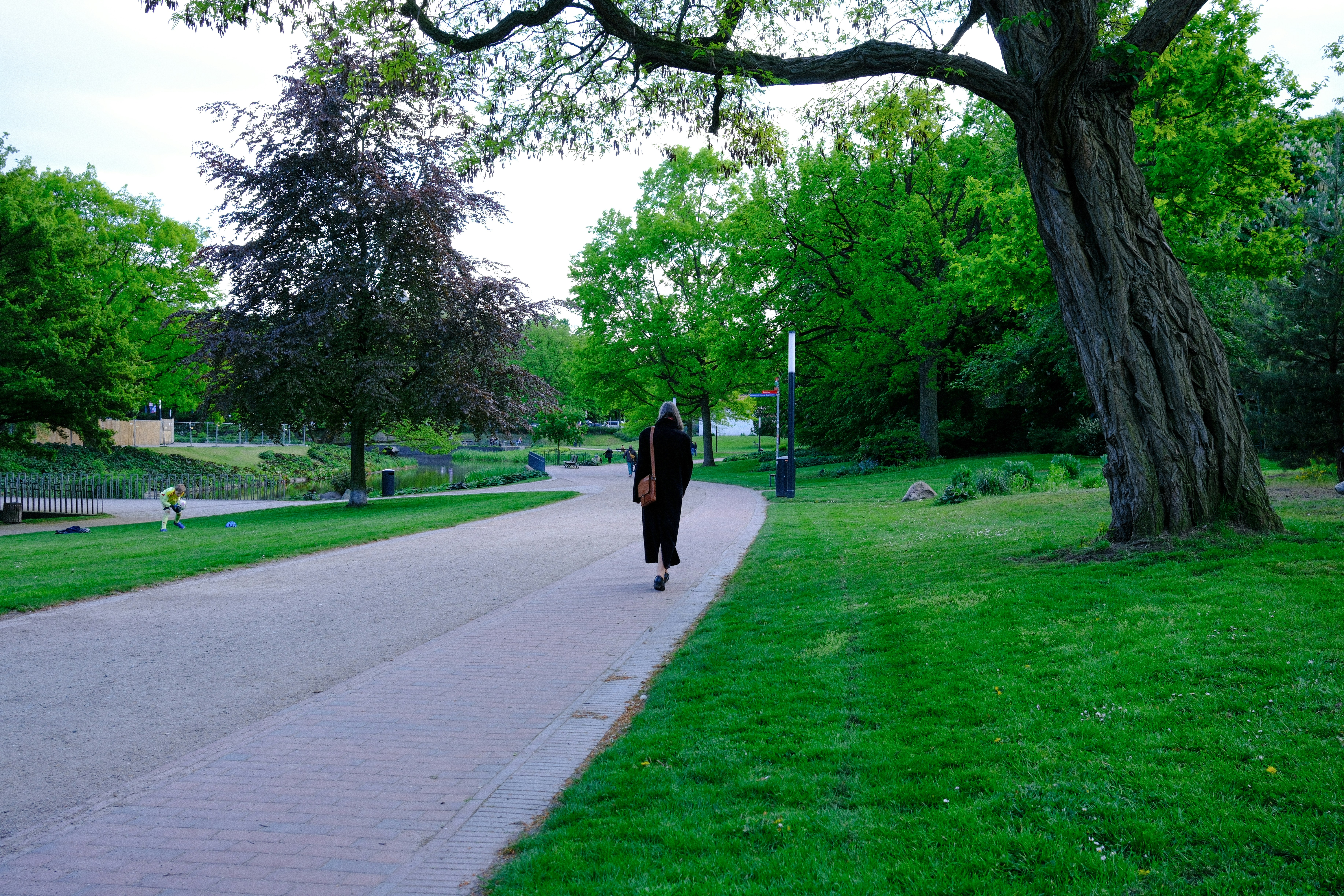  solitary figure strolling down a sunlit park path