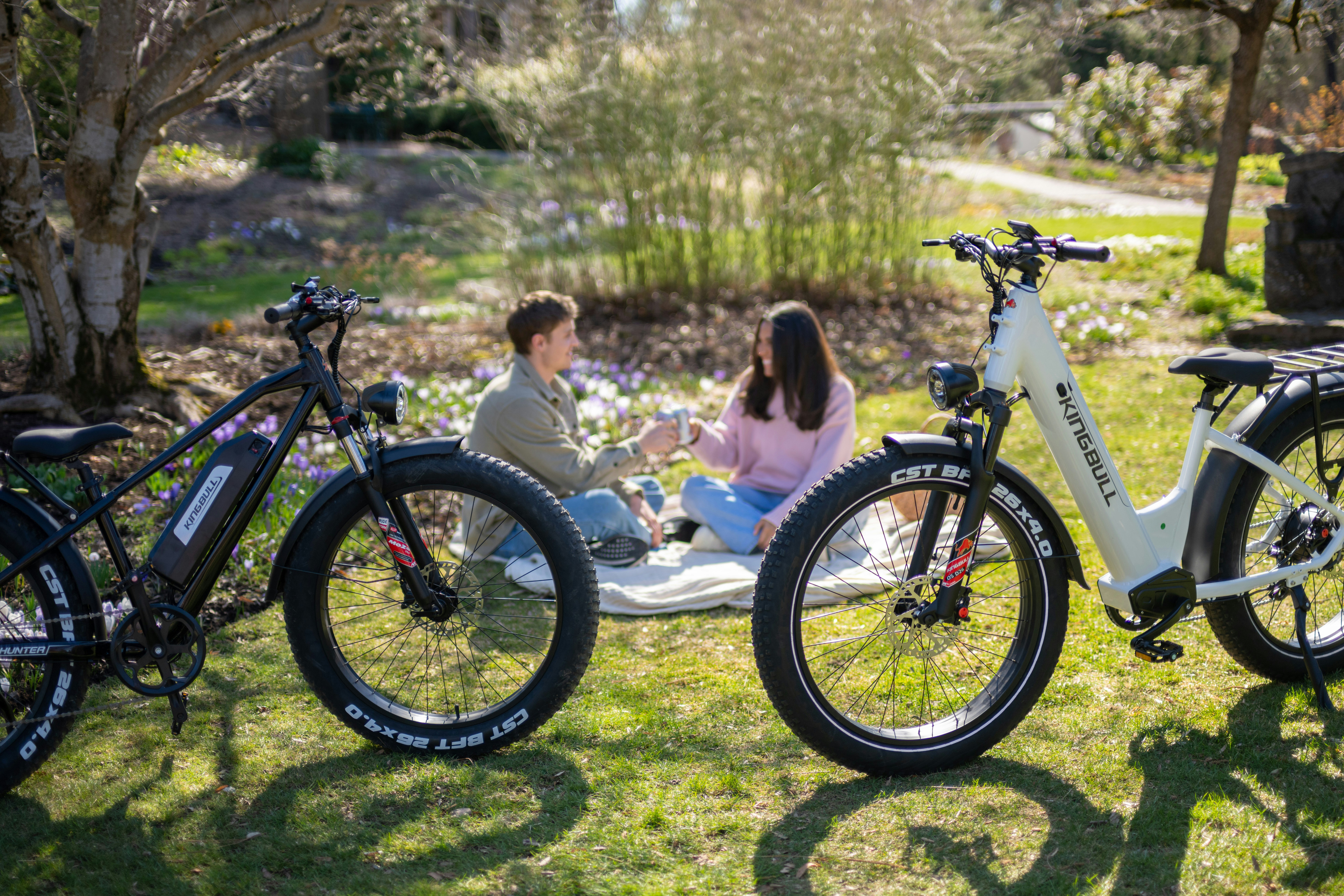 Picnic Break Between E-Bikes in a Sunny Park