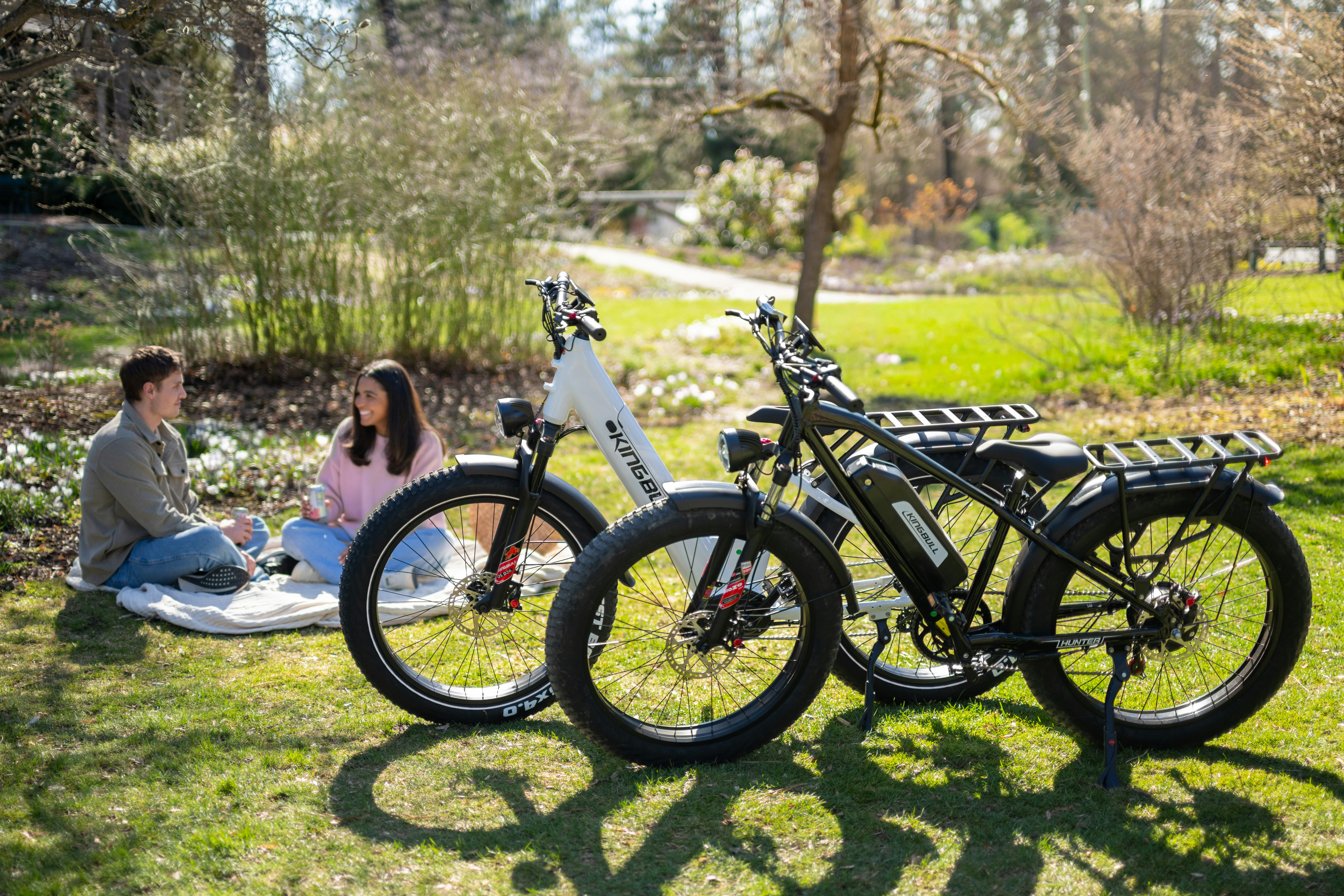 Picnic in the Park with Electric Bikes