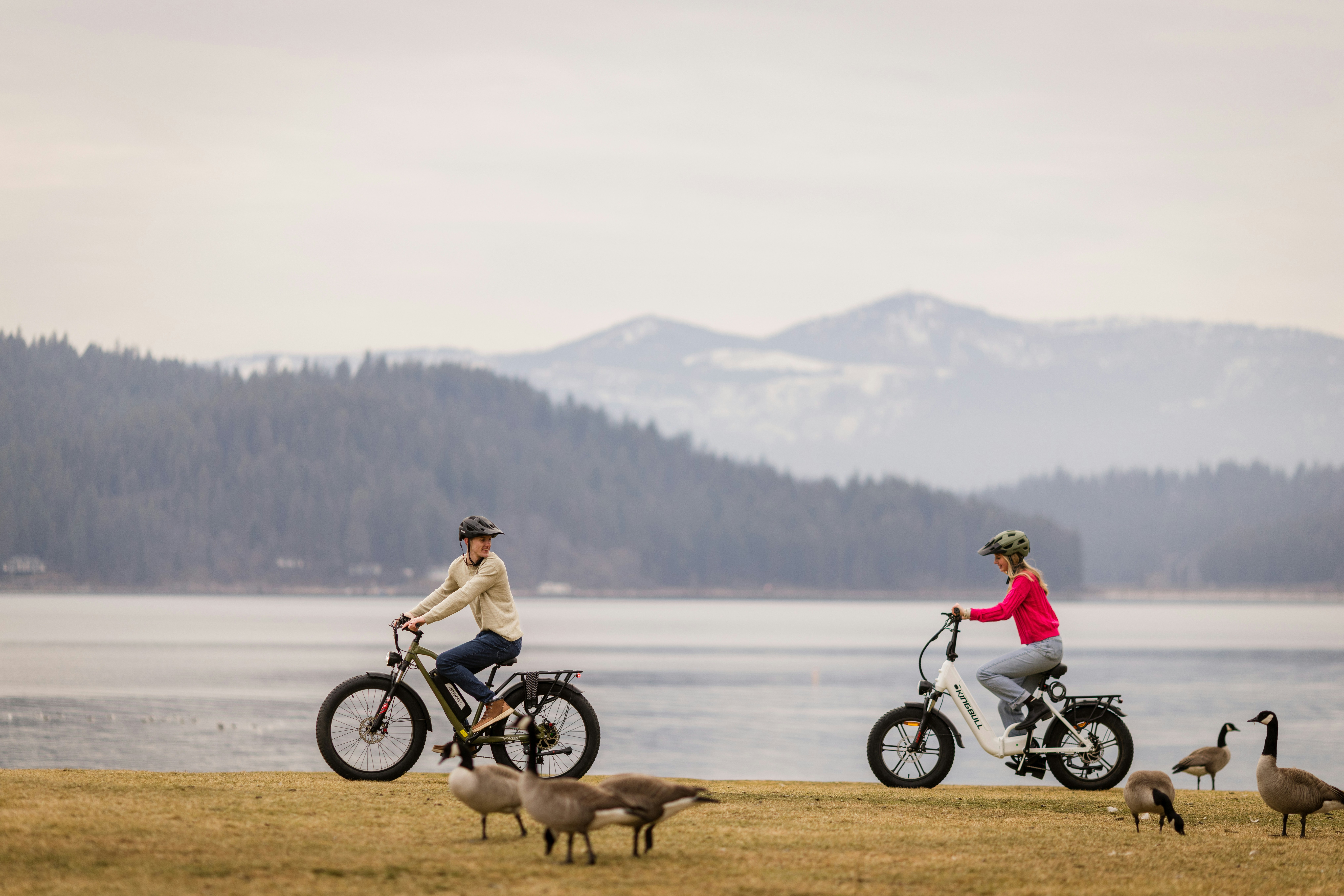 Cyclists on a lakeside ridge with geese in the foreground