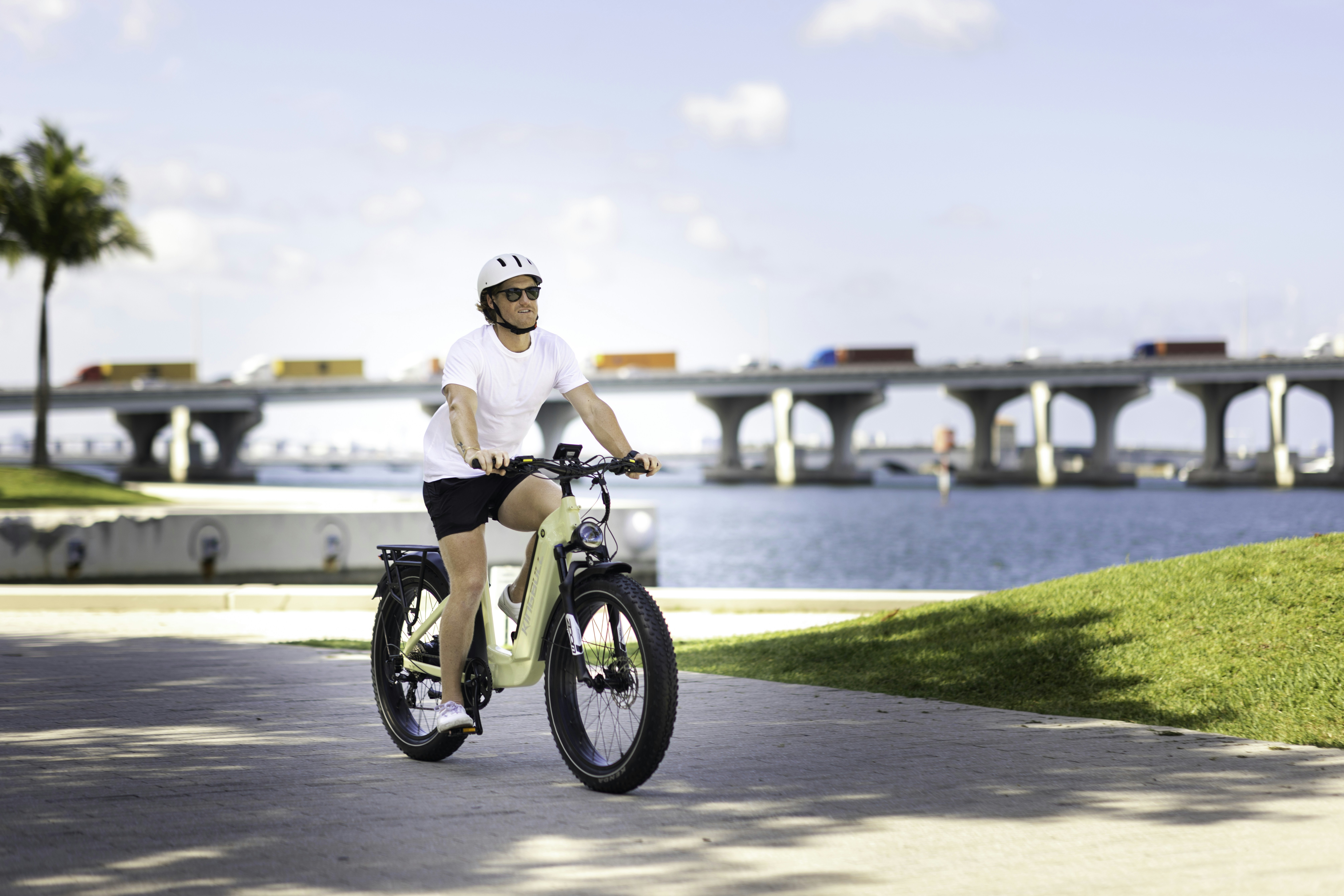 Riding in the Sunlit Waterfront Park