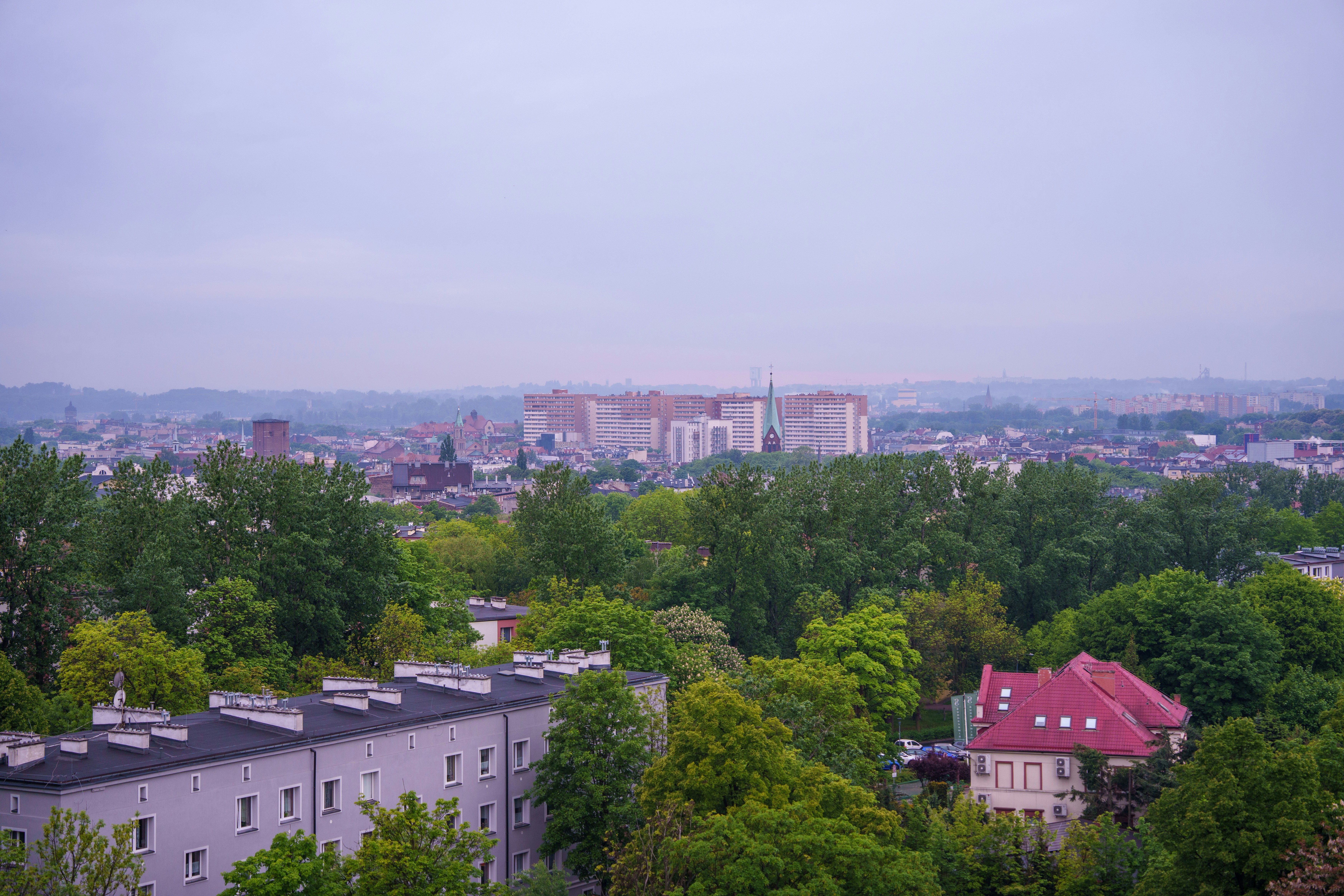 Green Canopy Over a Quiet Urban Horizon