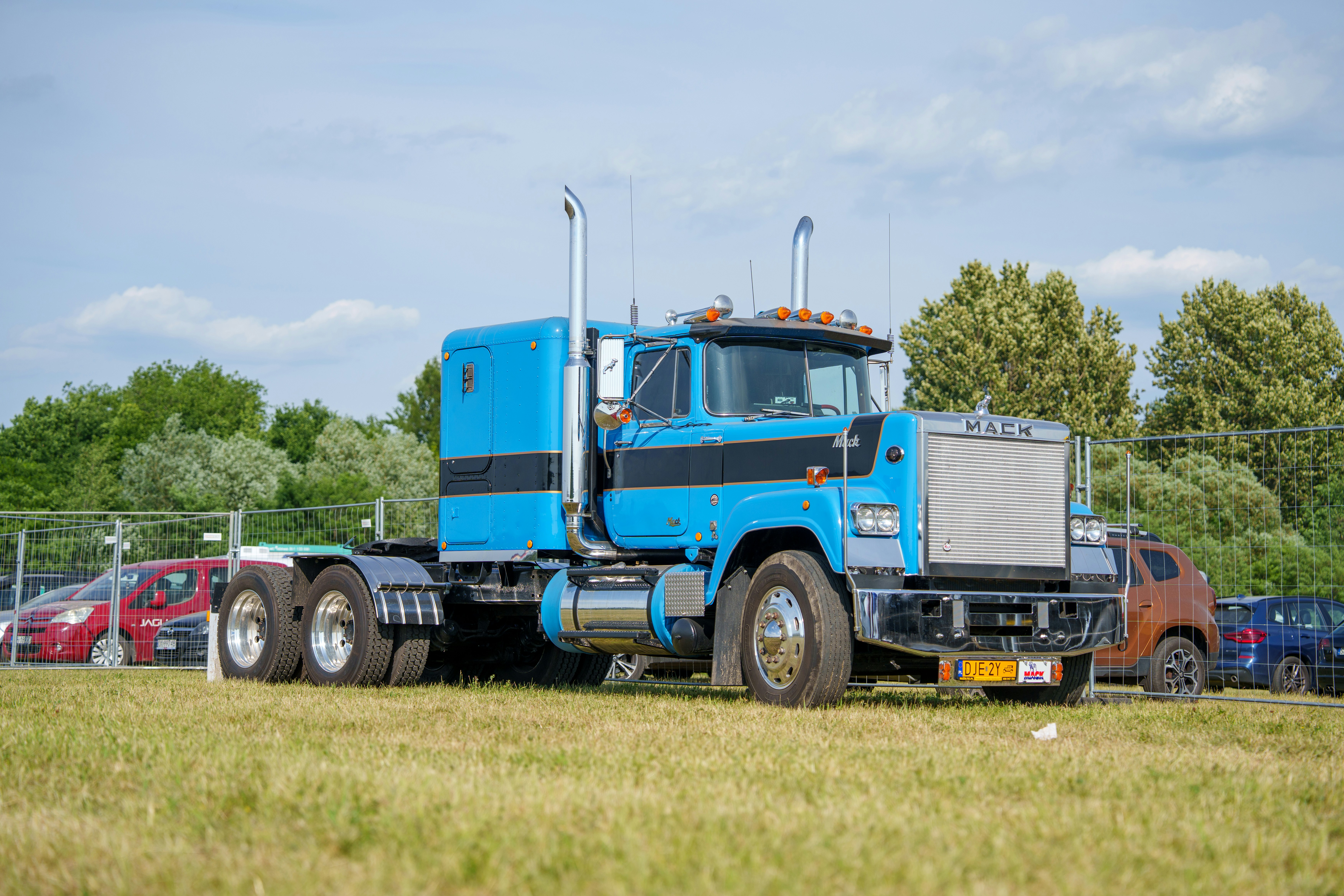 Blue Road Beast: A Pride of Chrome and Steel on Grassy Ground