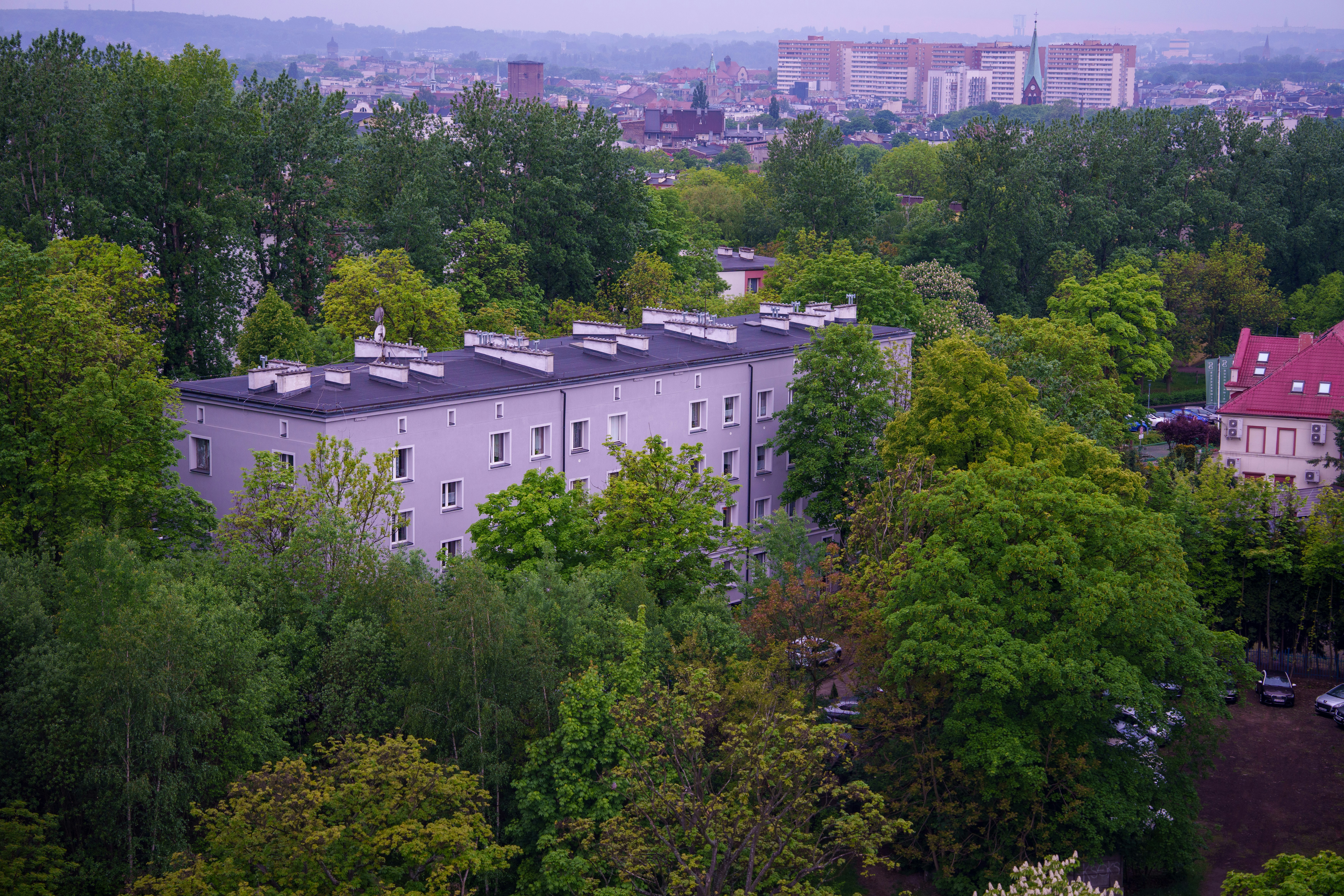 Cityscape Through Canopy: A Verdant Neighborhood from Above