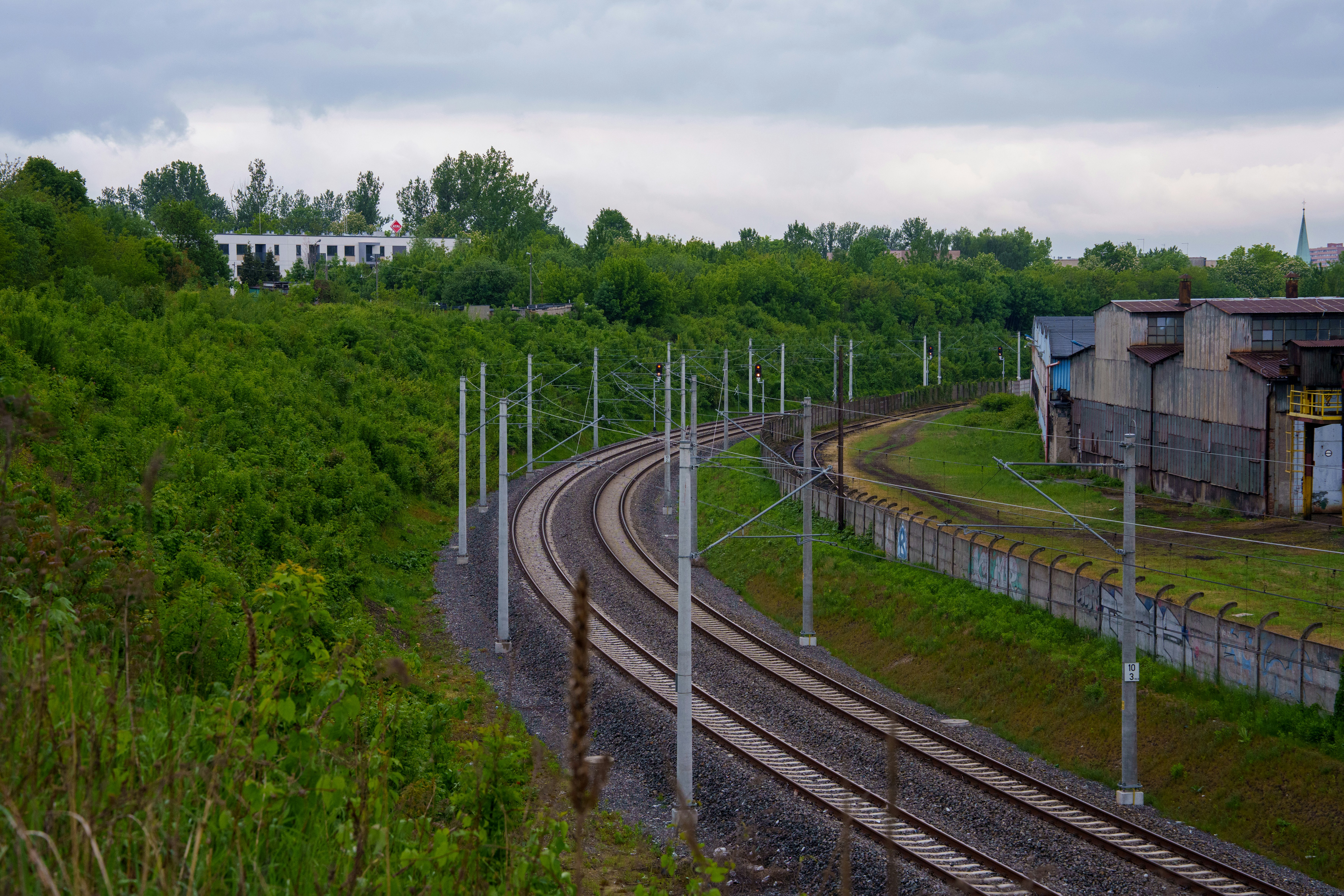 Railway Veil: Curving Tracks Through Verdant Perimeter