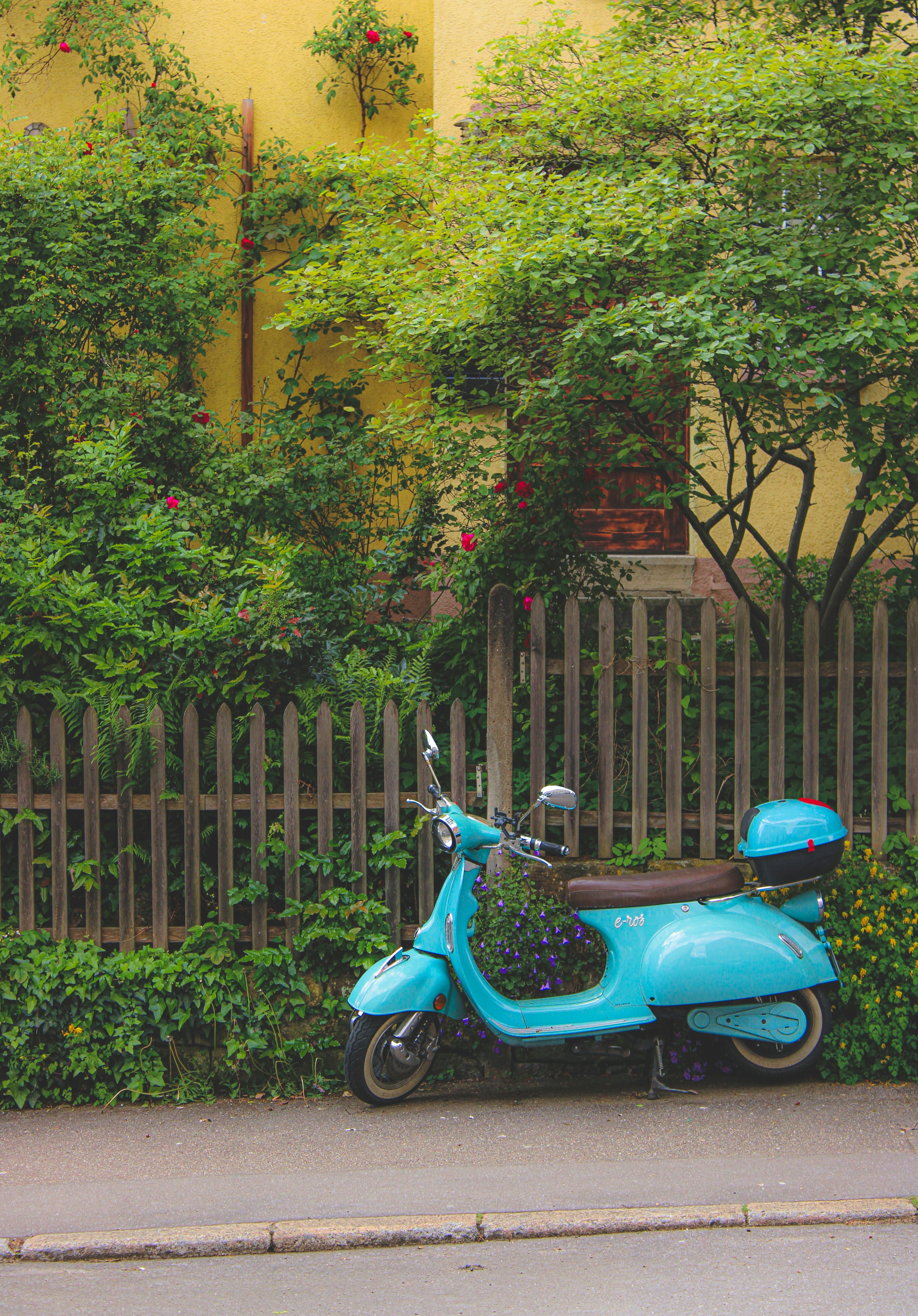 Aqua Vespa by the Garden Gate