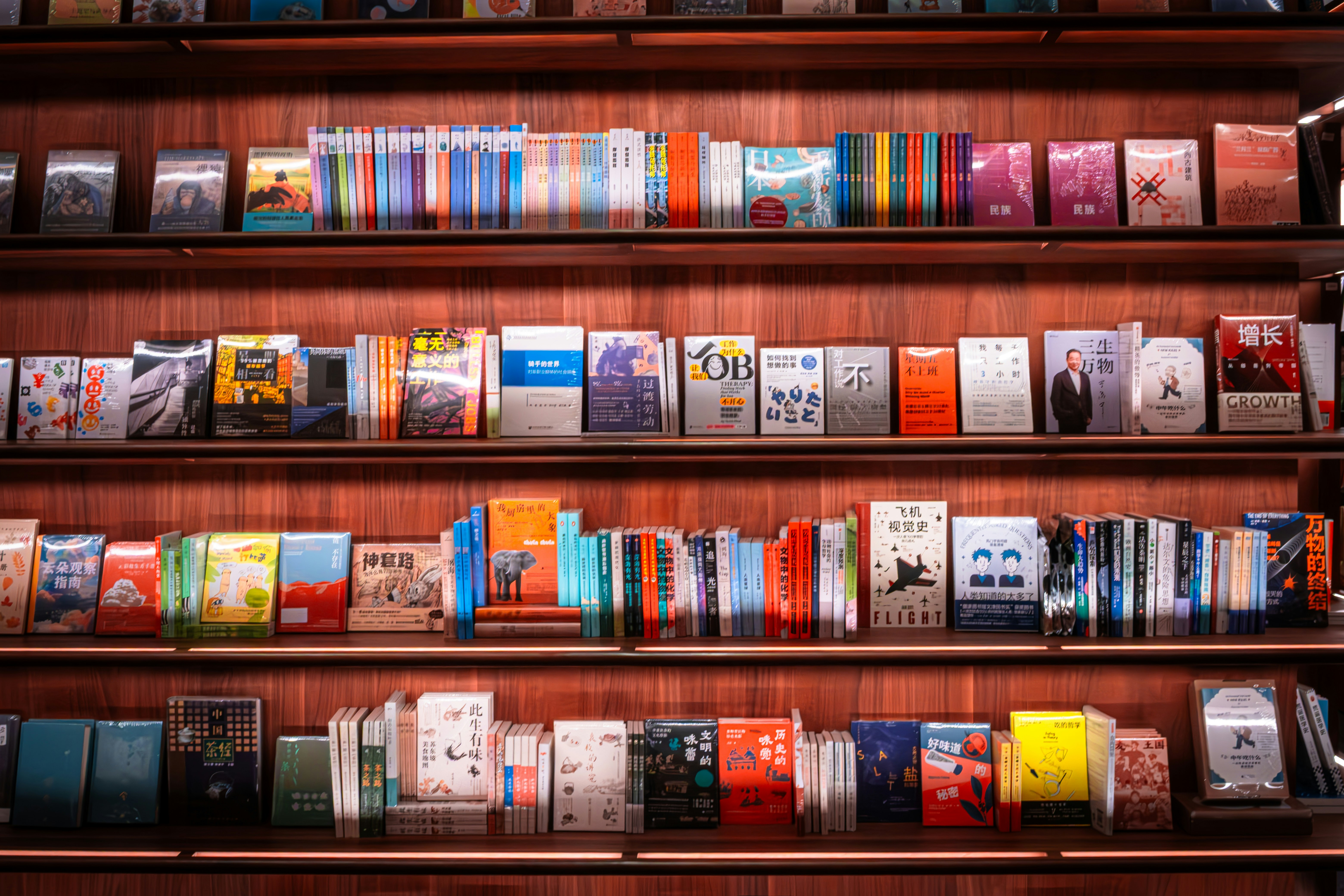 Rail of Reads: A Warm Panorama of Colorful Books on Wooden Shelves