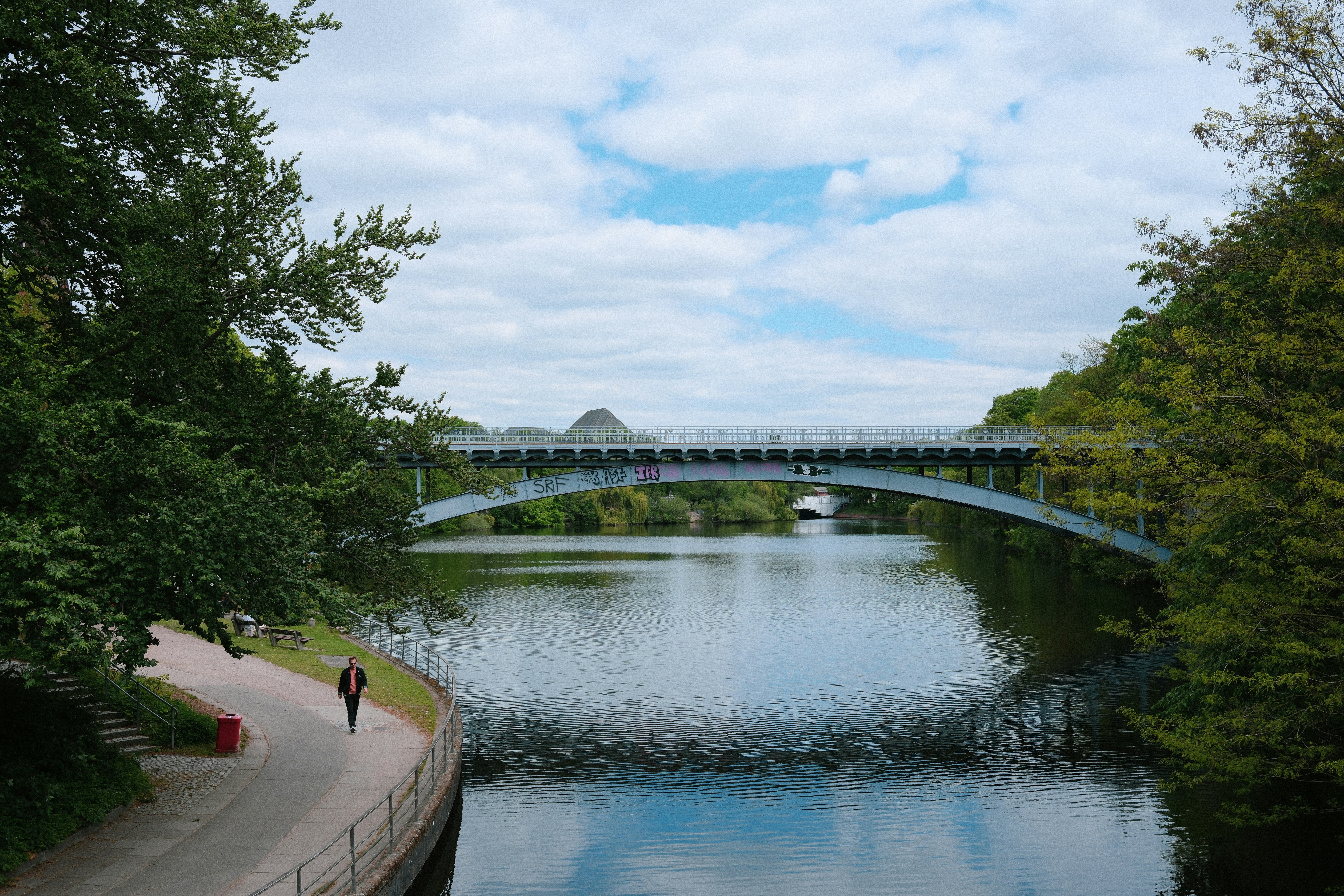 Bridge over the Quiet River: A Moment Along the Tree-Canopied Walkway