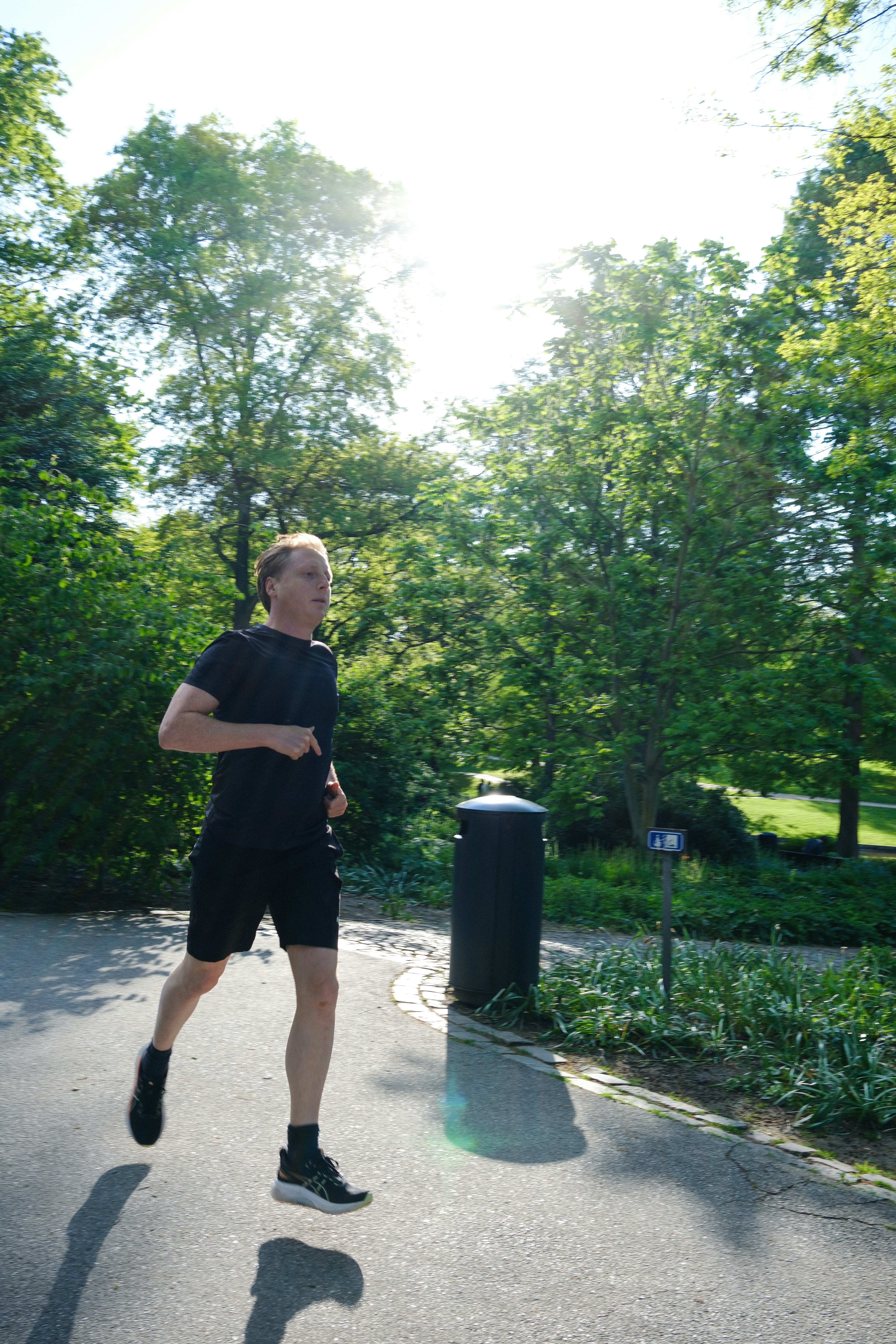 Runner in a sunlit park breaks into stride under a canopy of trees