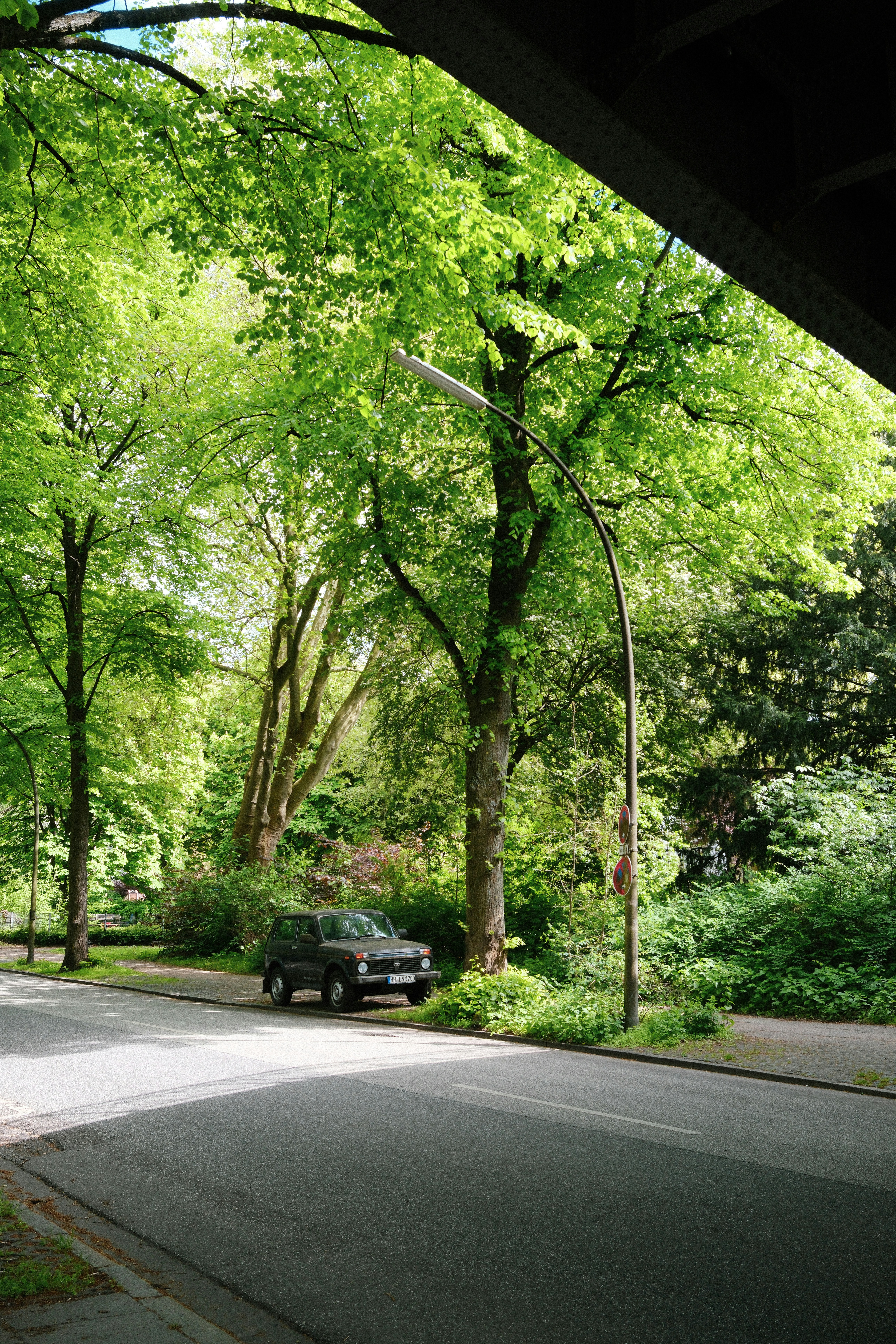 Green Canopy Over a Quiet City Street