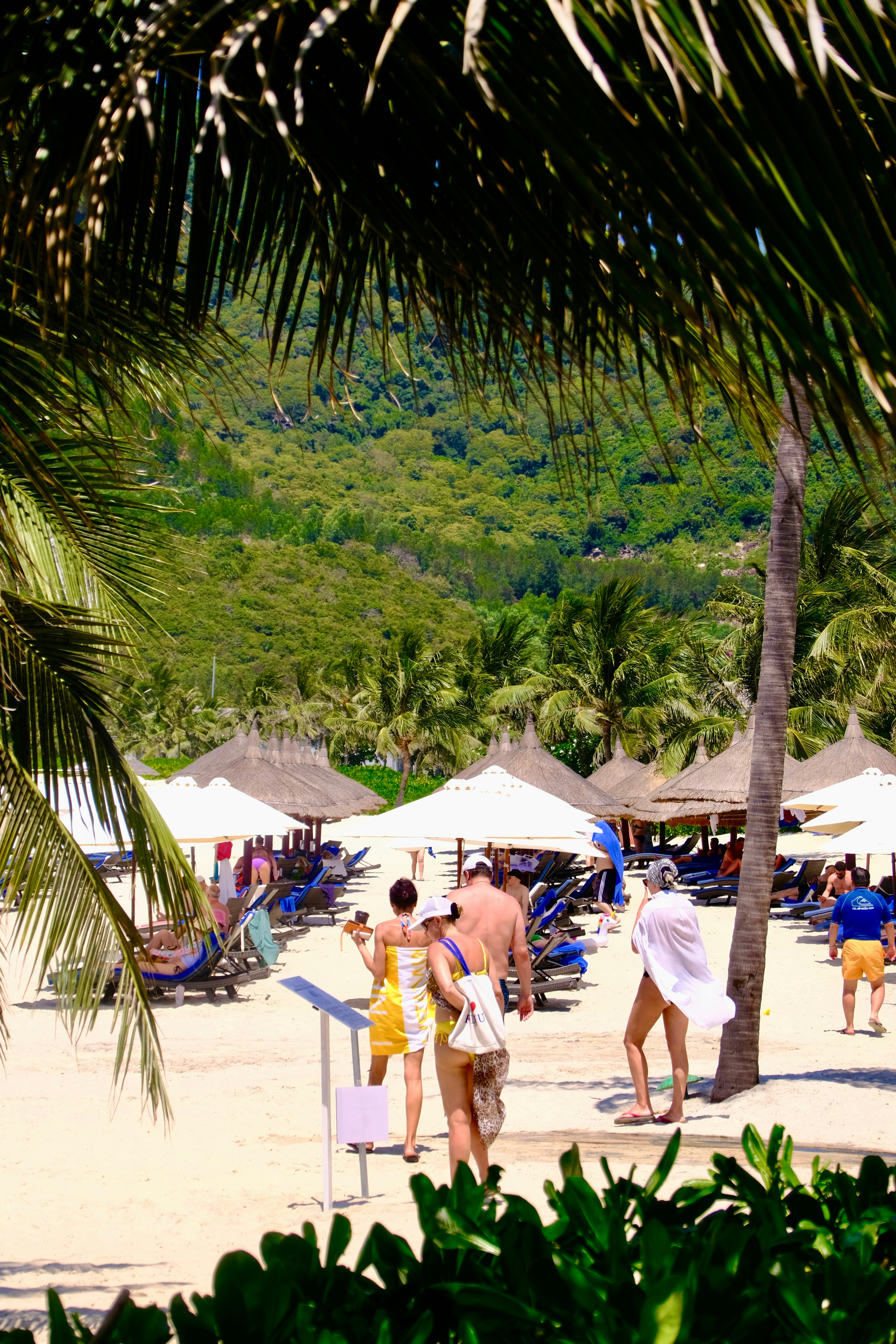 Sunlit Beach Scene: People Gather Beneath Palm Shade by Tropical Resort