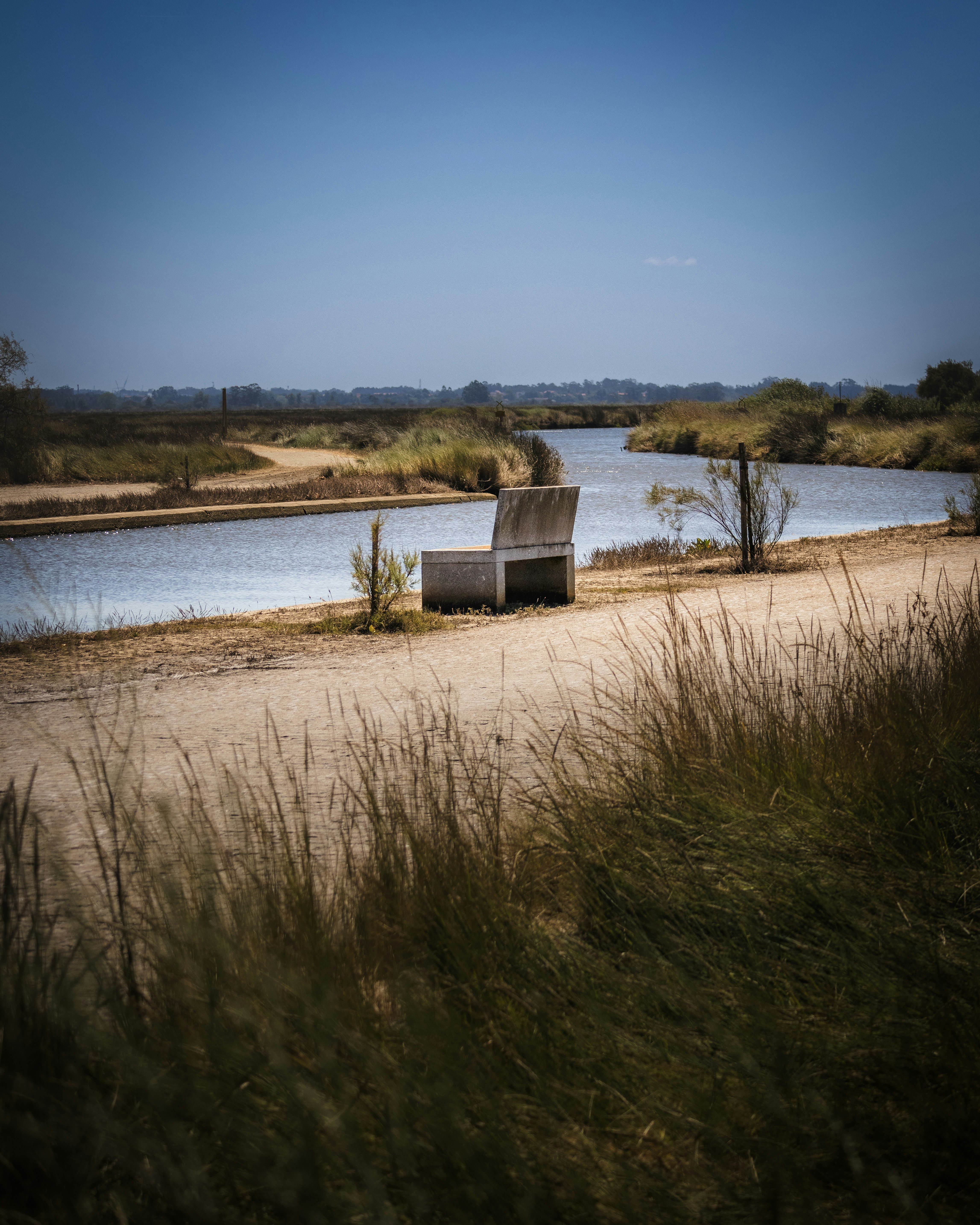 Solitary bench by the riverbank under a calm noon sky