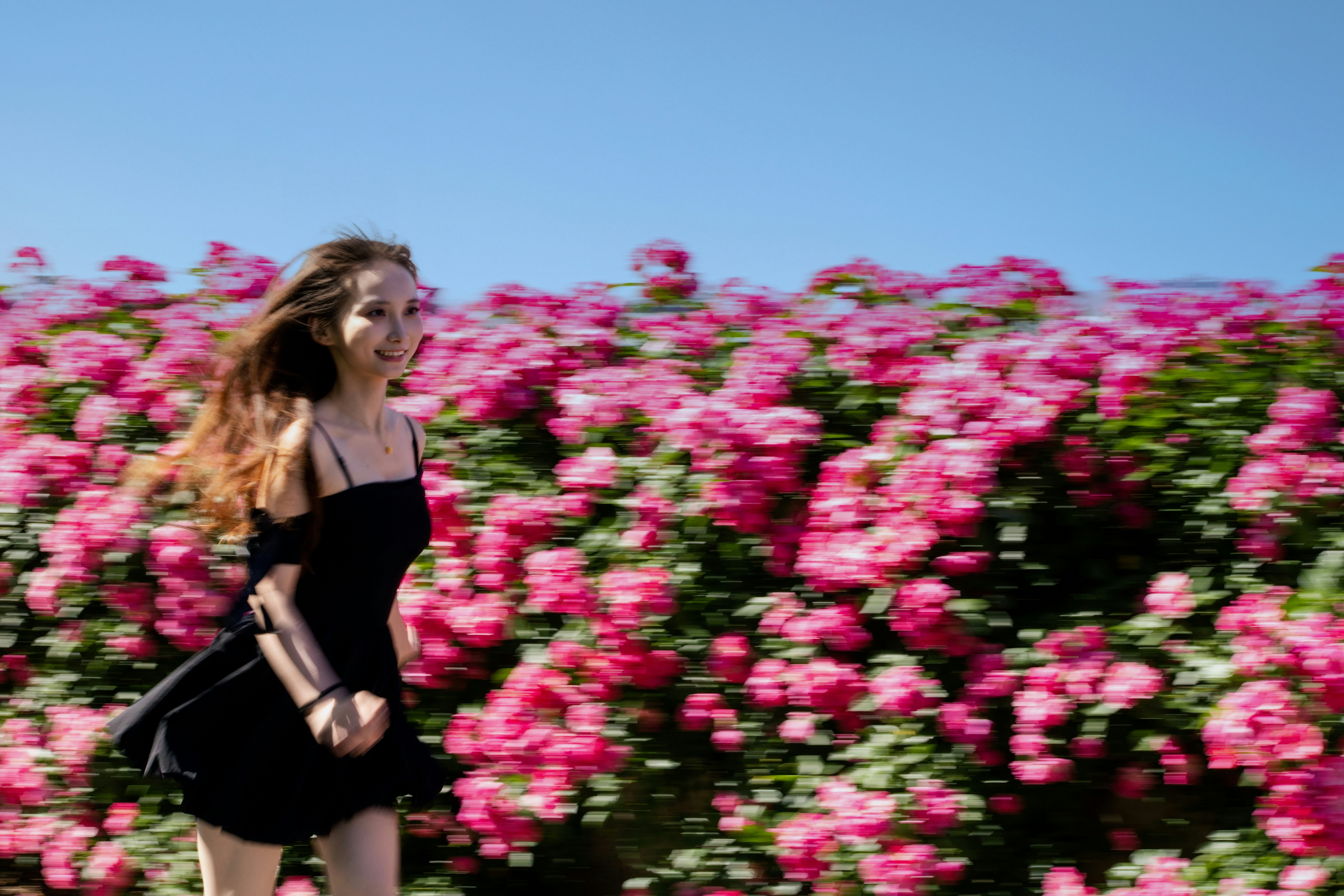 Blooming motion: a sunlit figure among the pink sea