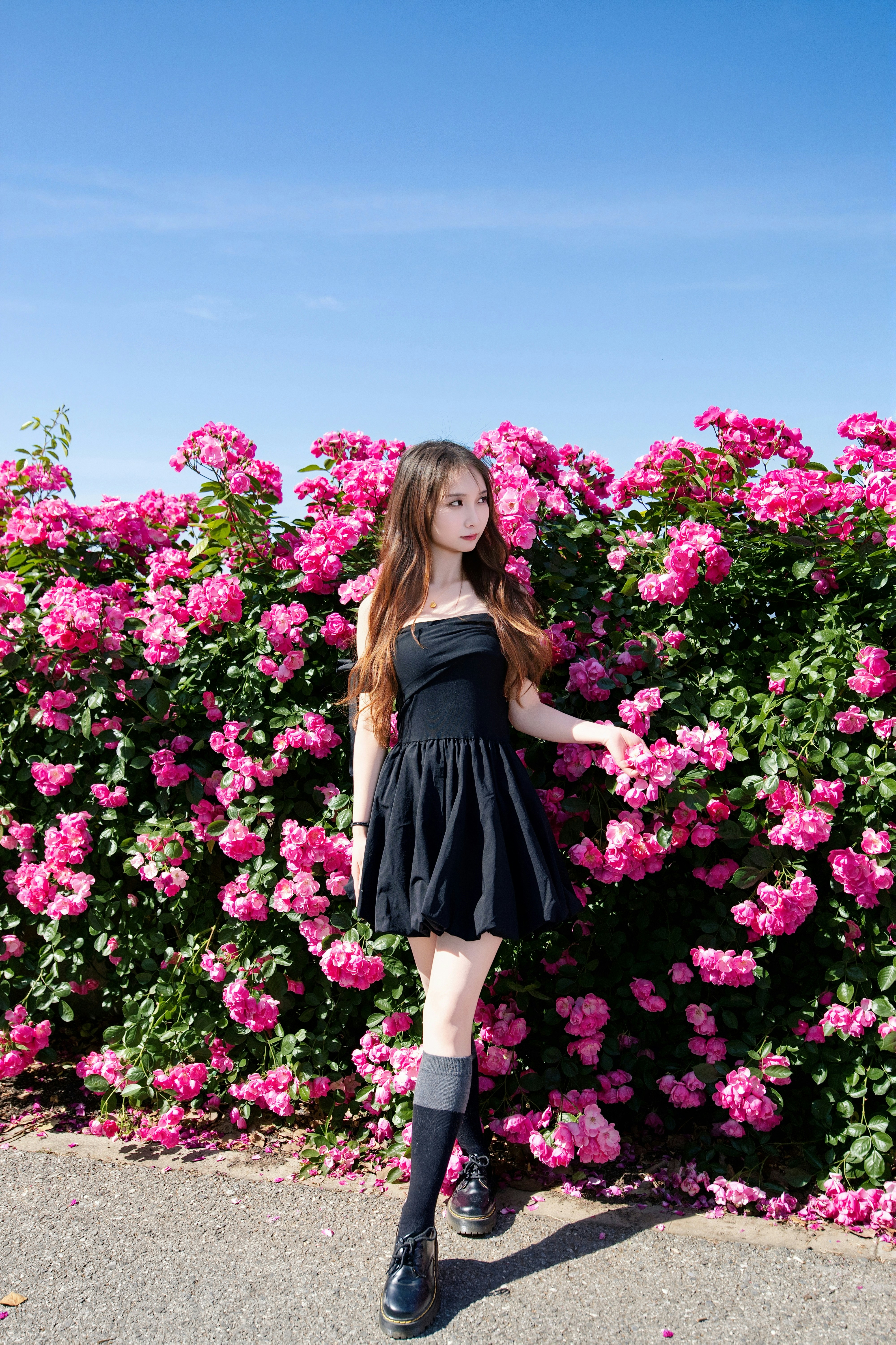 In Bloom: A Portrait Amid a Sea of Pink Roses