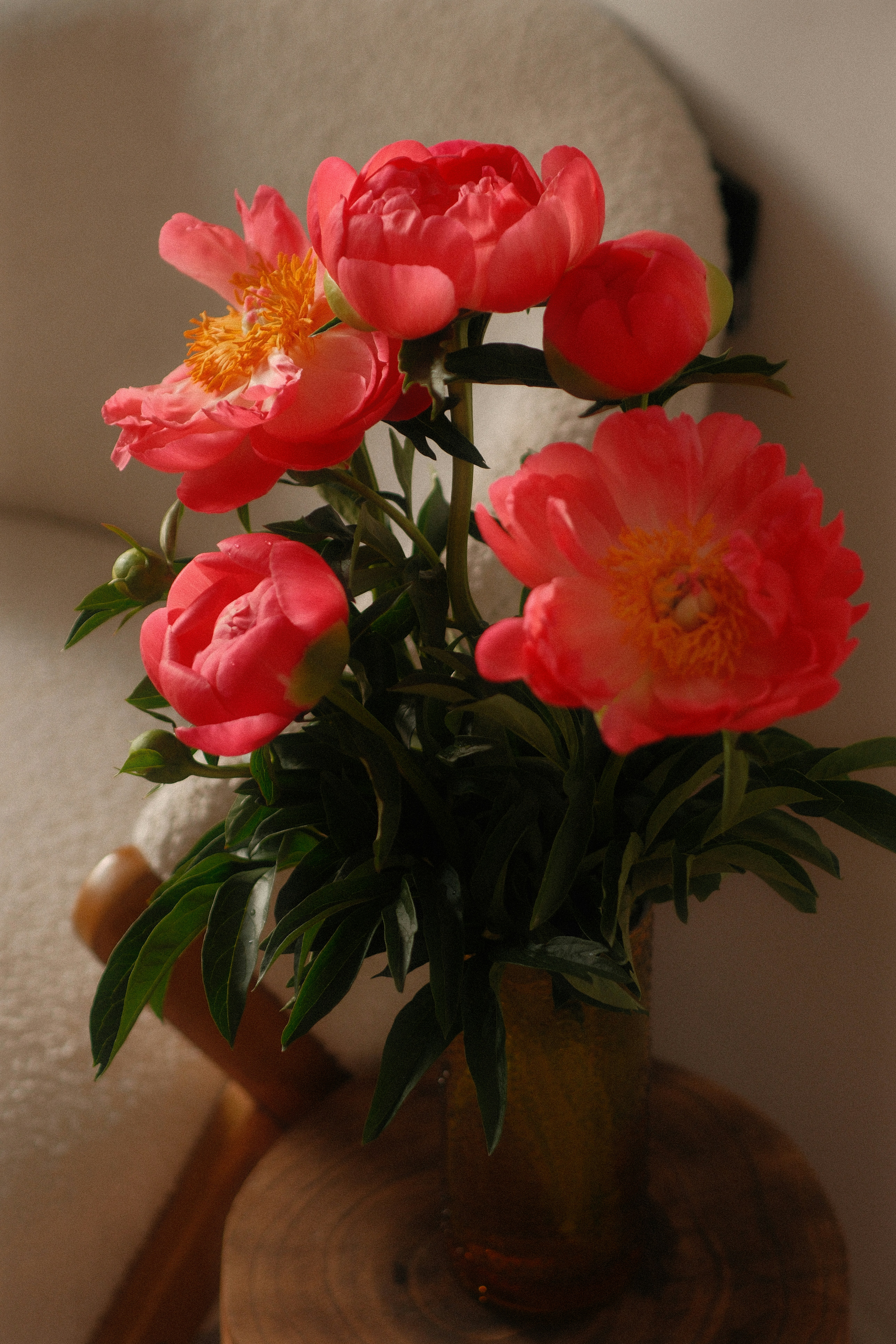 Coral Bloom in a Quiet Corner