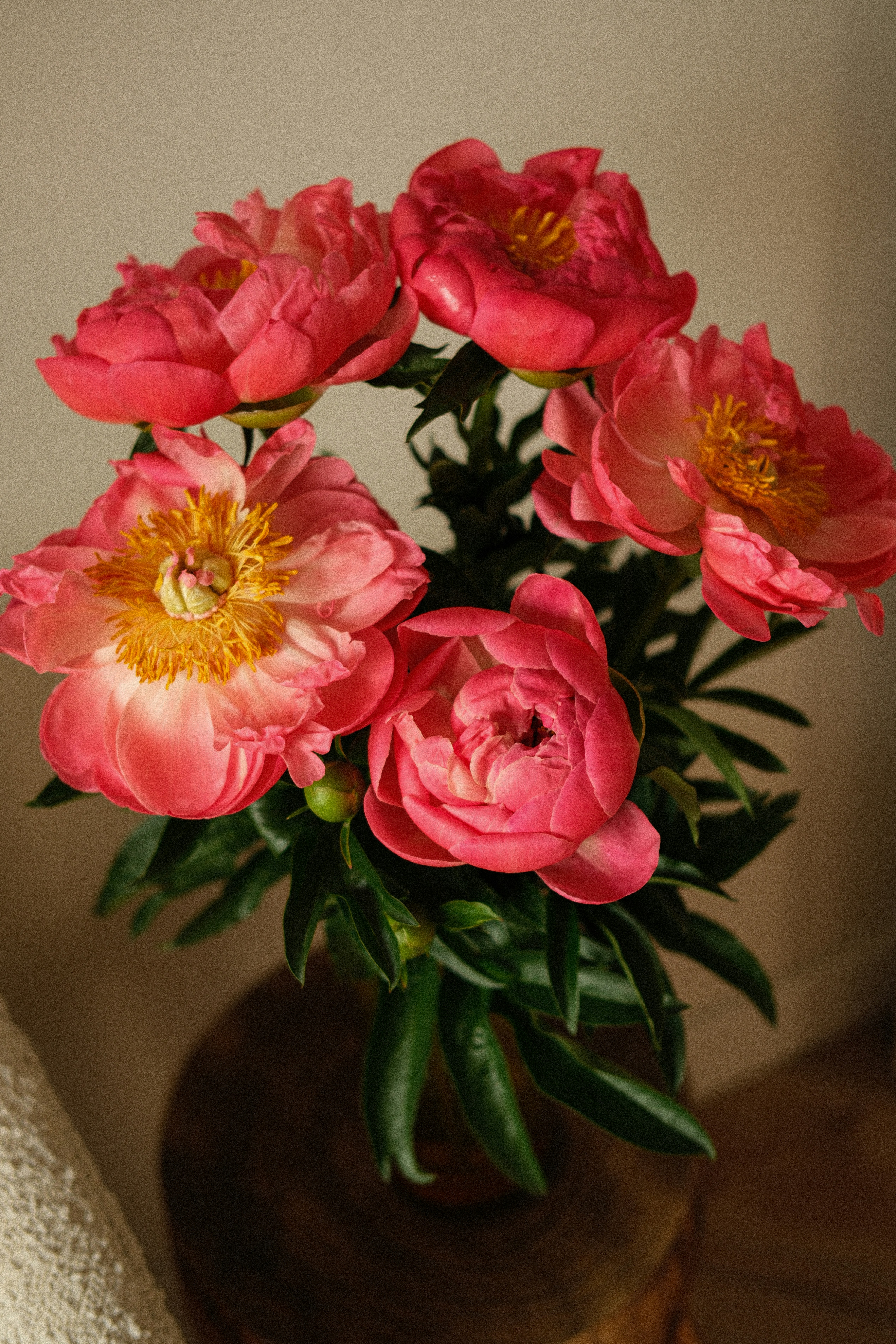 Pink Peony Bouquet in Soft Indoor Light
