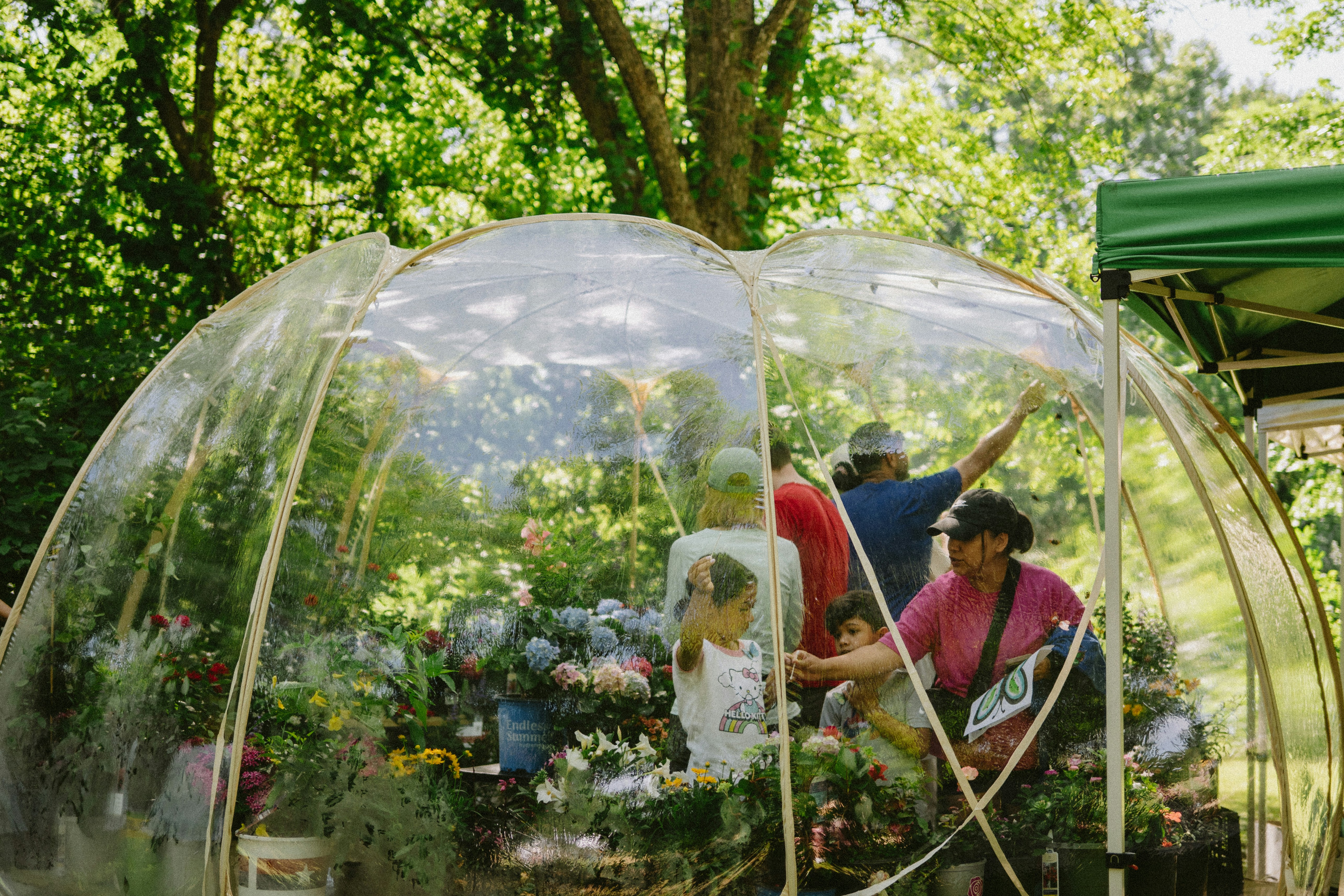 Glass Dome Garden: A Busy Market Within a Transparent Bloom