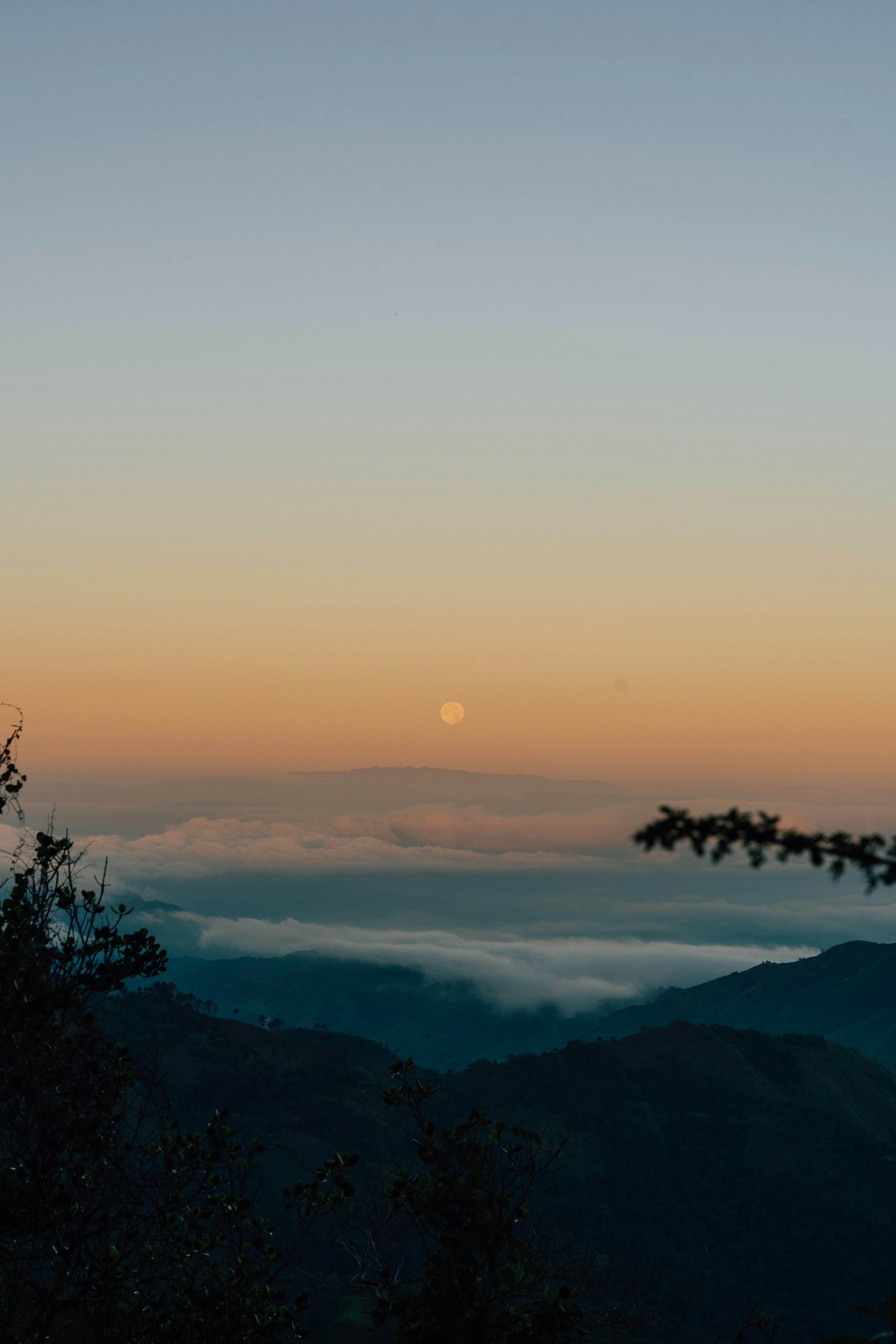 Moonrise over the misted valley from a hillside canopy