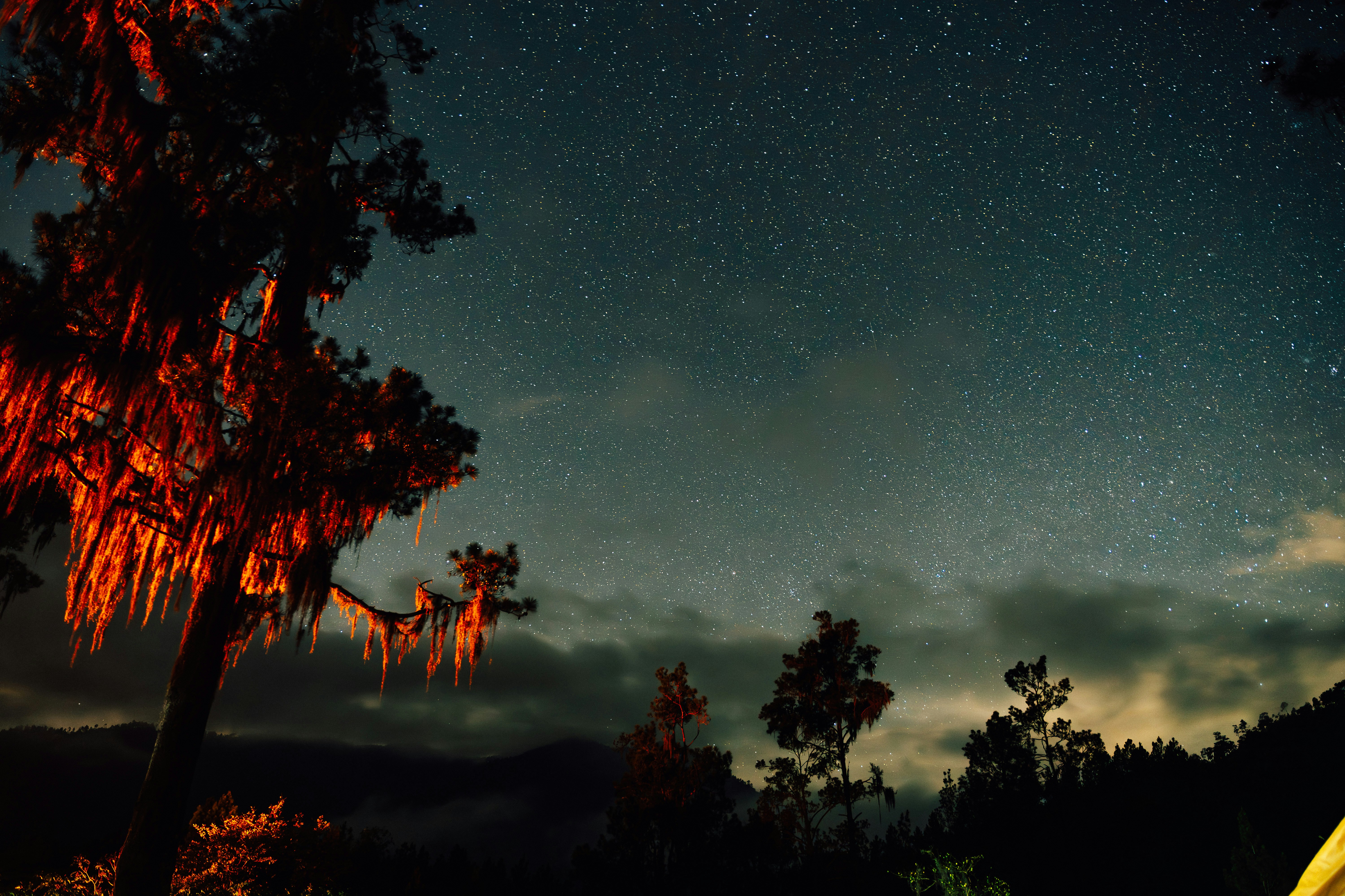Starfall on the Nightline Ridge