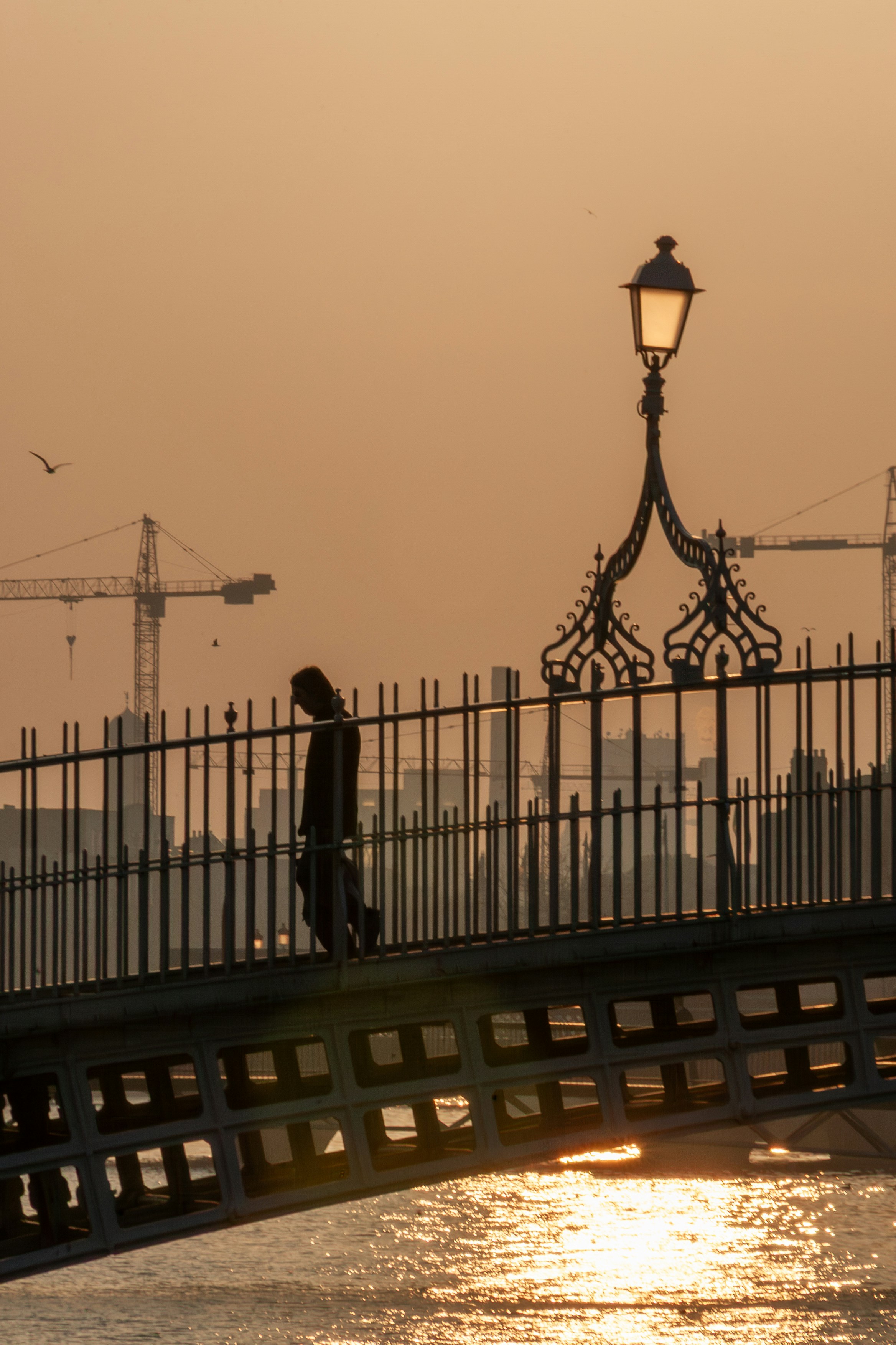 Silhouette on a Sunset Bridge: A Quiet Figure under Ornate Lamps