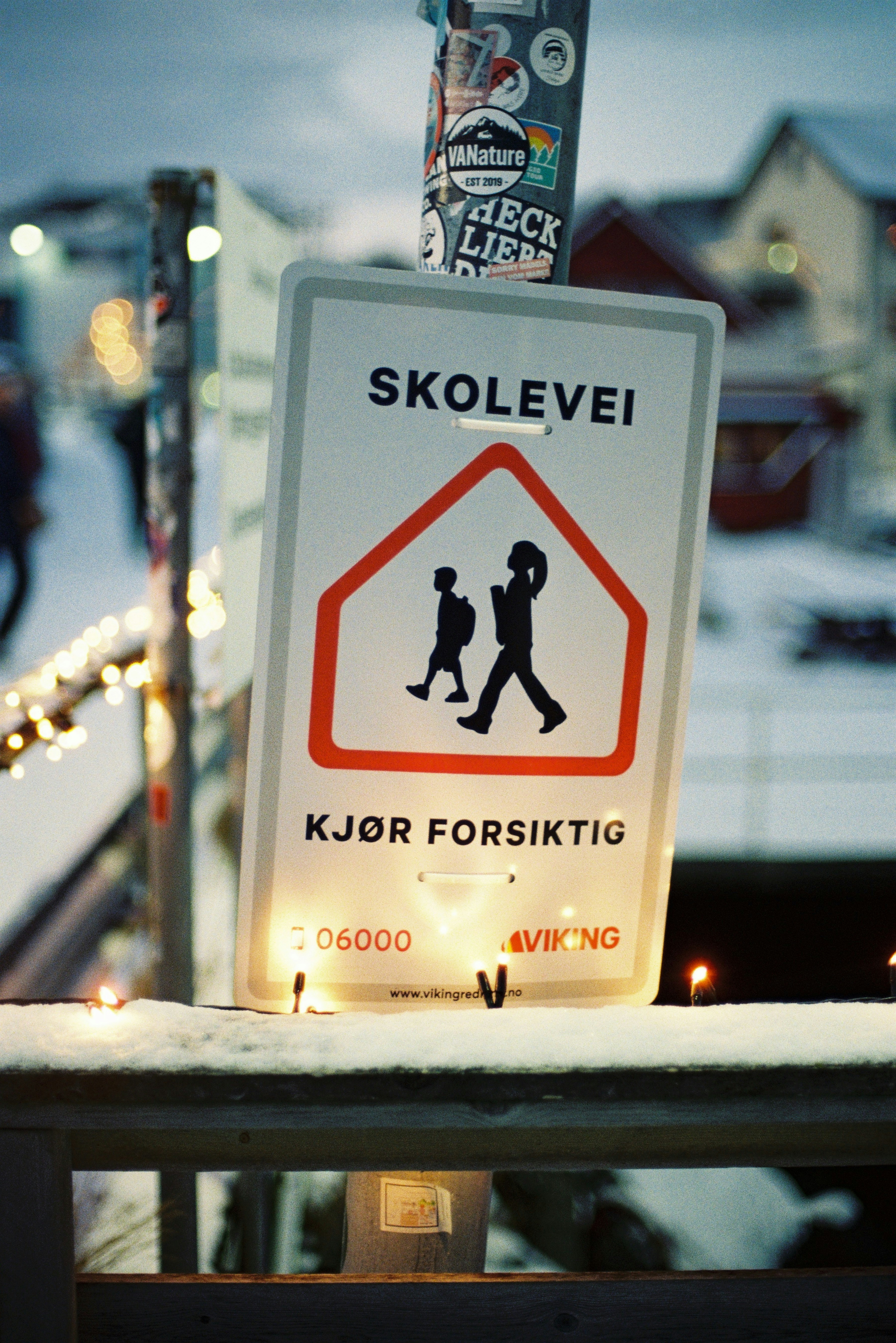 Snowy Crossing: Schoolchildren Sign Gazing Toward a Velvet Night