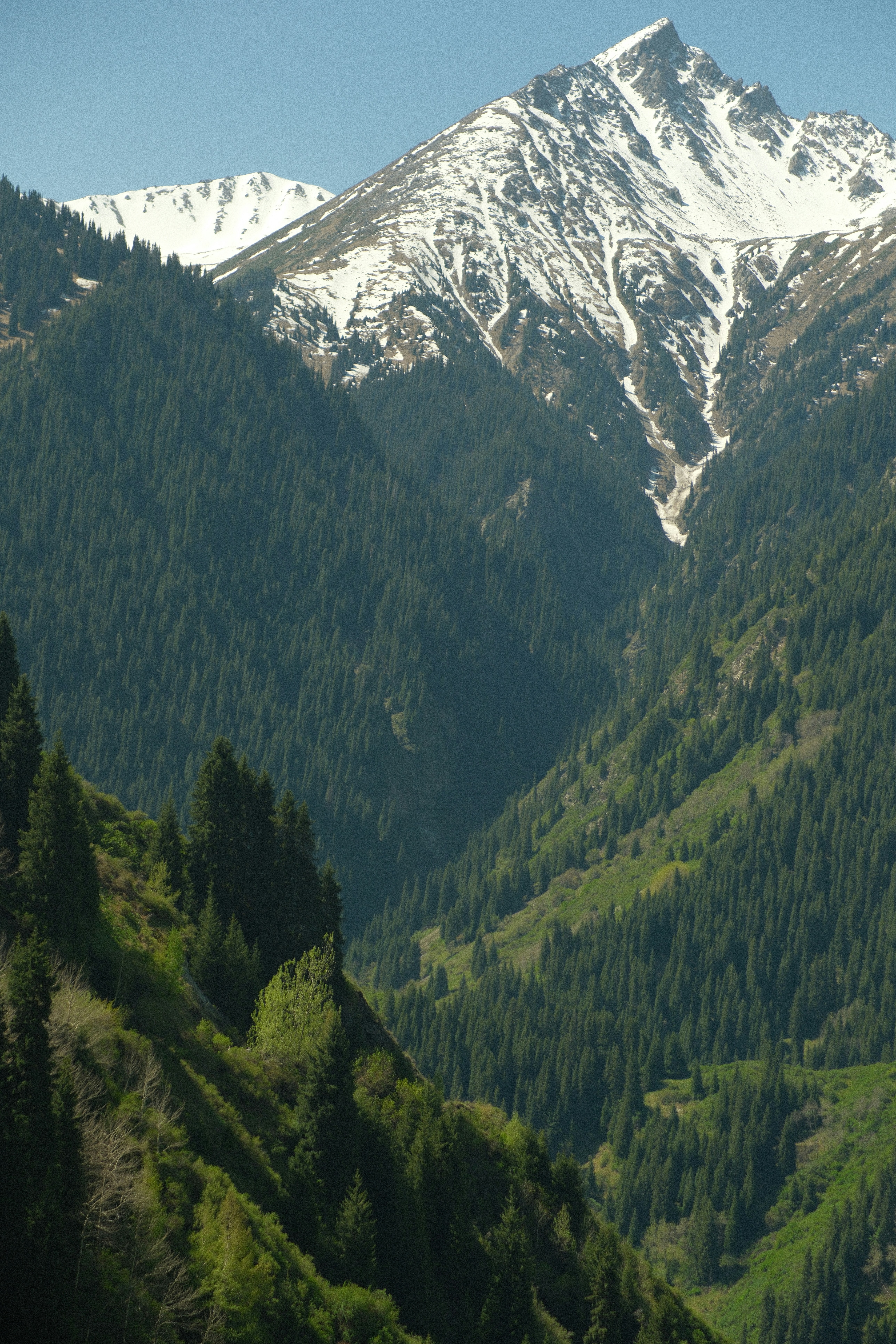 Snow-kissed summit over a verdant valley