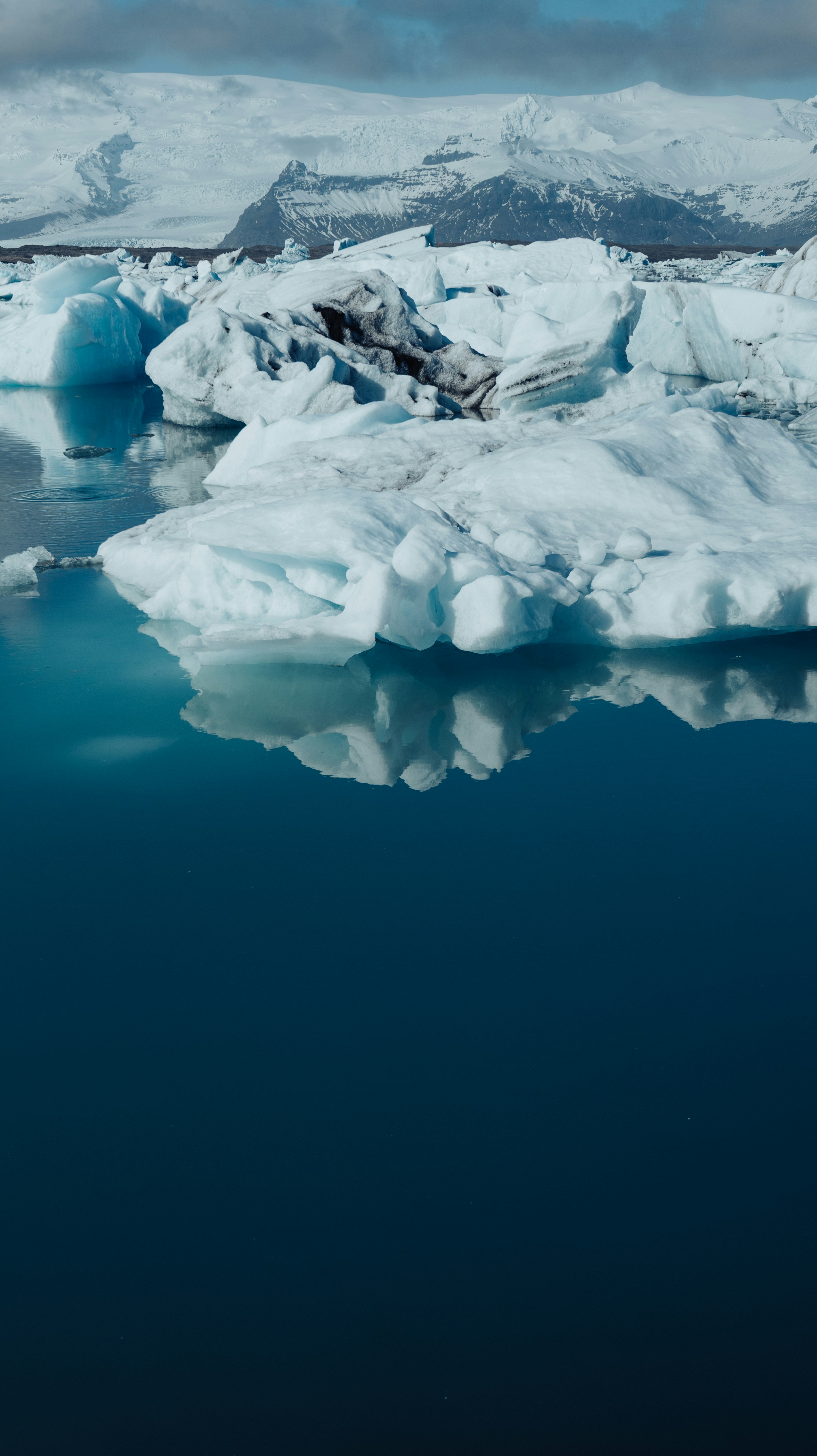 Glacial Majesty: Icebergs Velvet in a Frigid Fjord