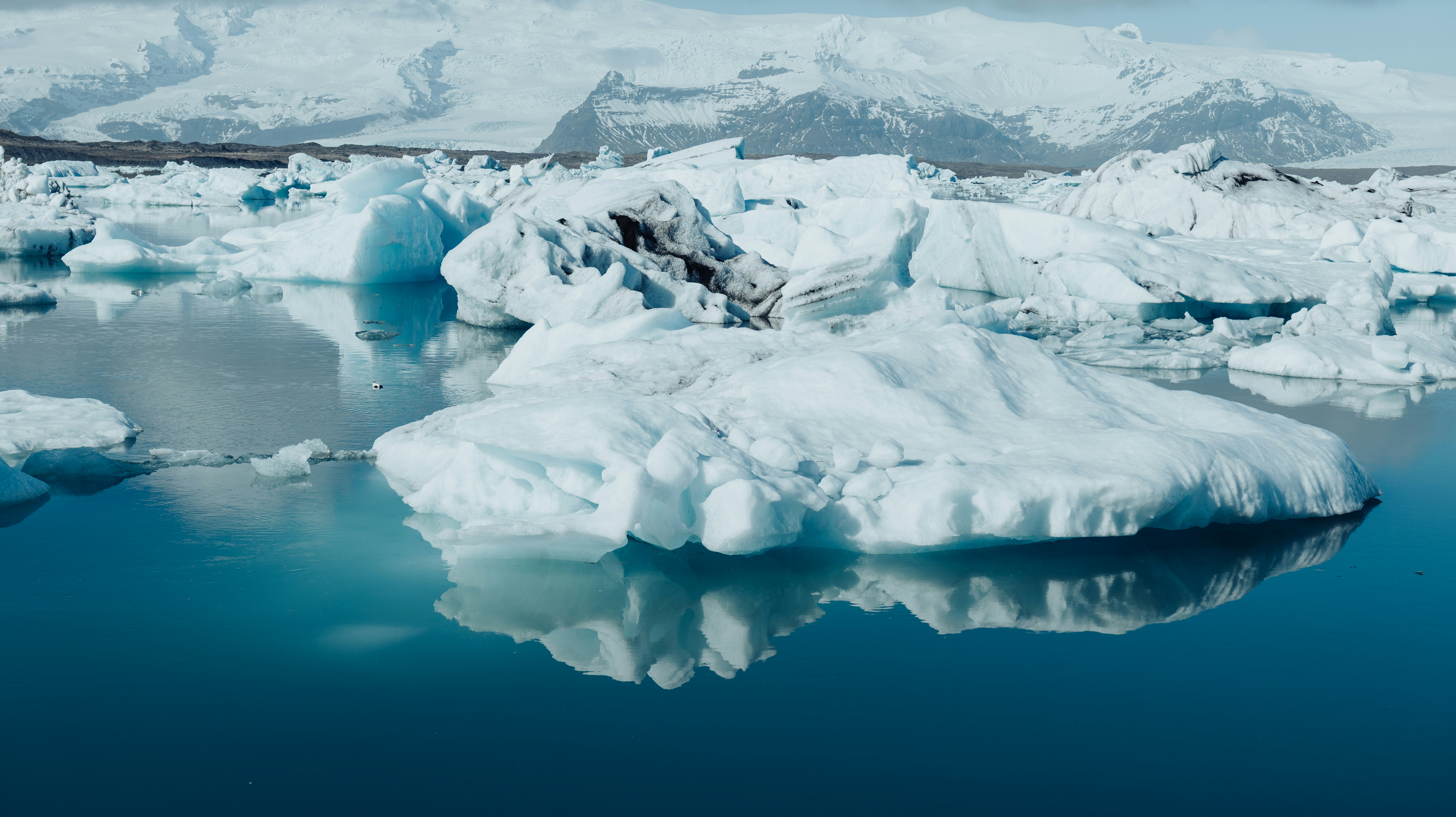 Glacial Poise: Icebergs Rest on a Quiet Arctic Mirror