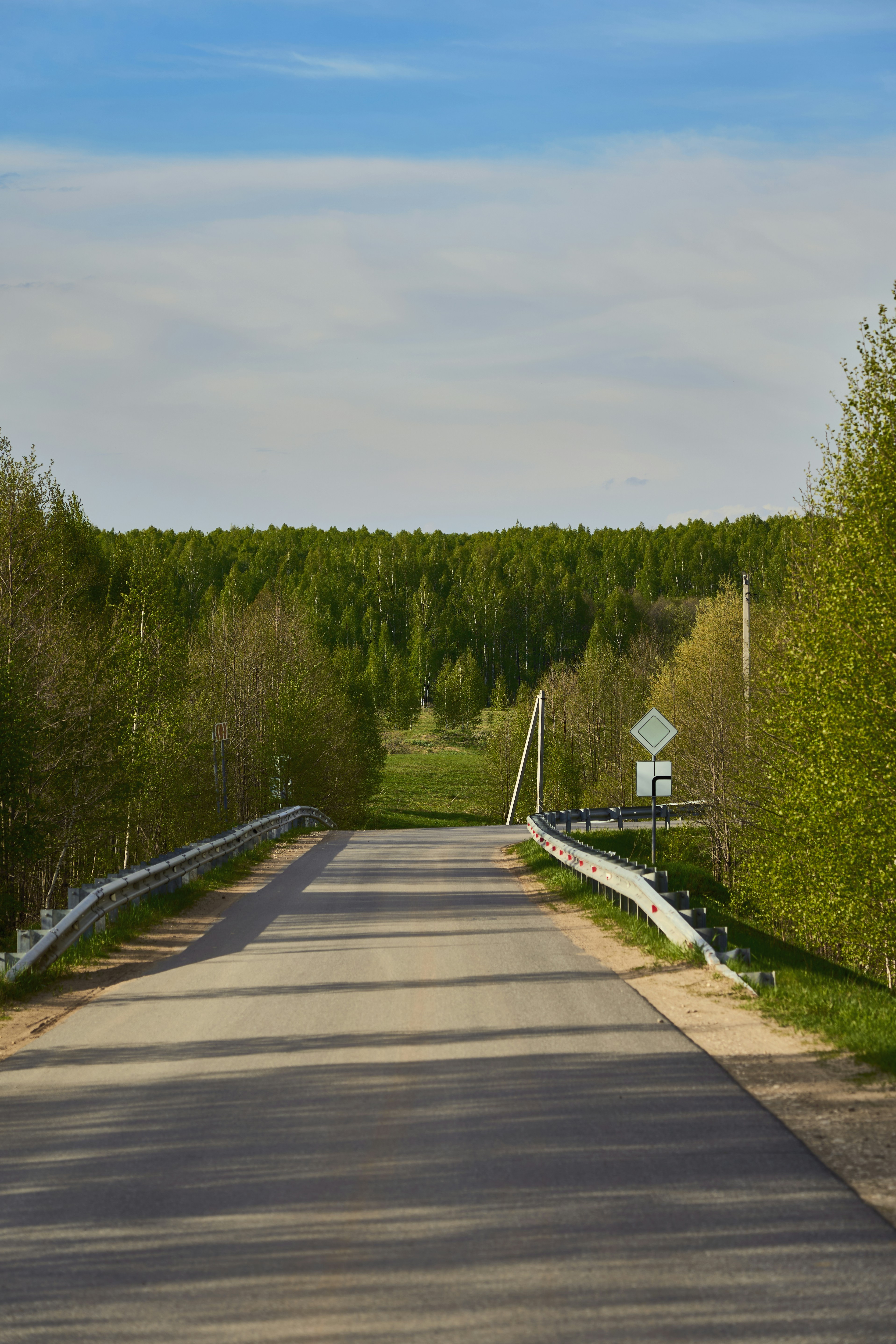 Long Rural Road to the Forest Edge