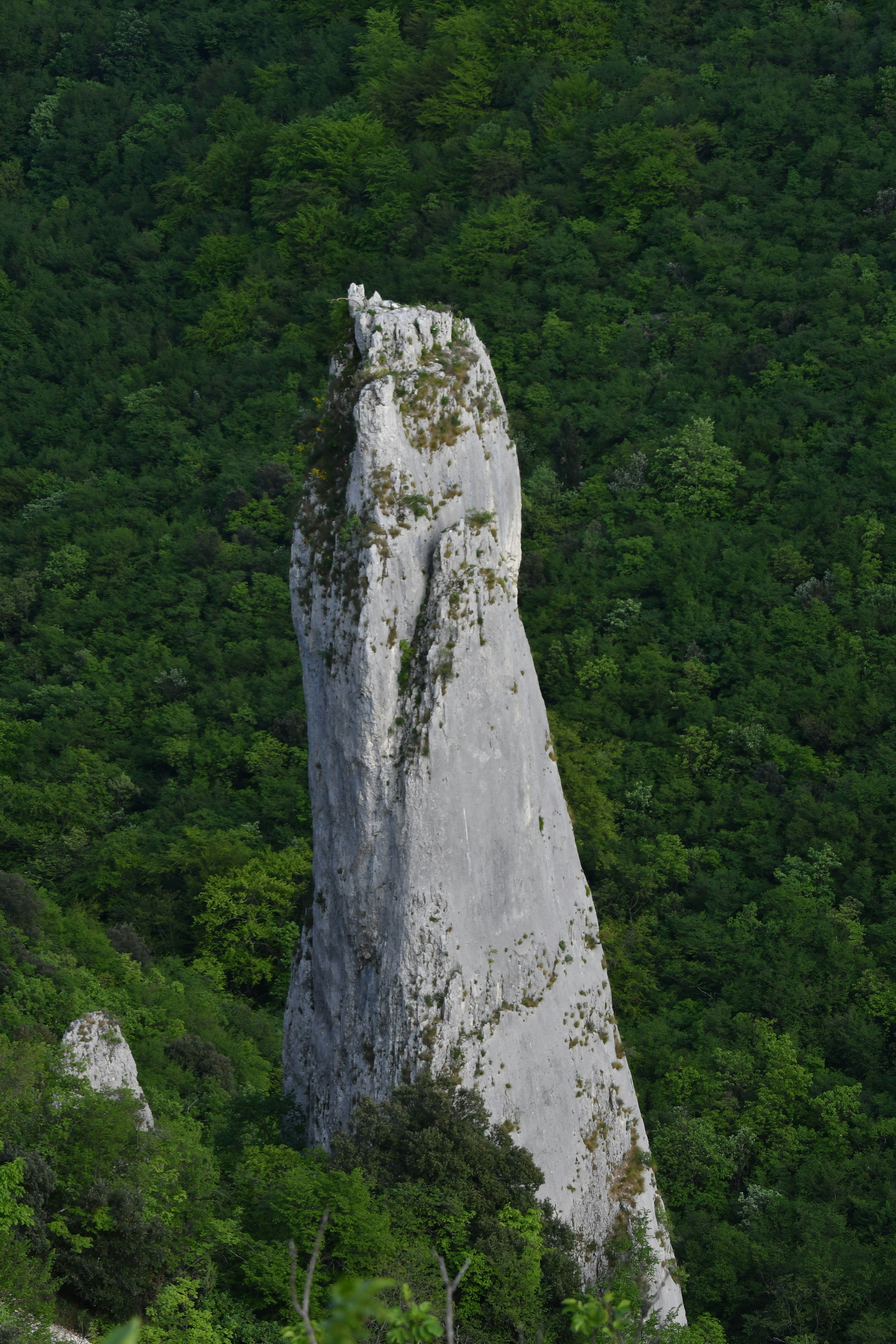 The Sentinel Peak Rising Above Verdant Realms
