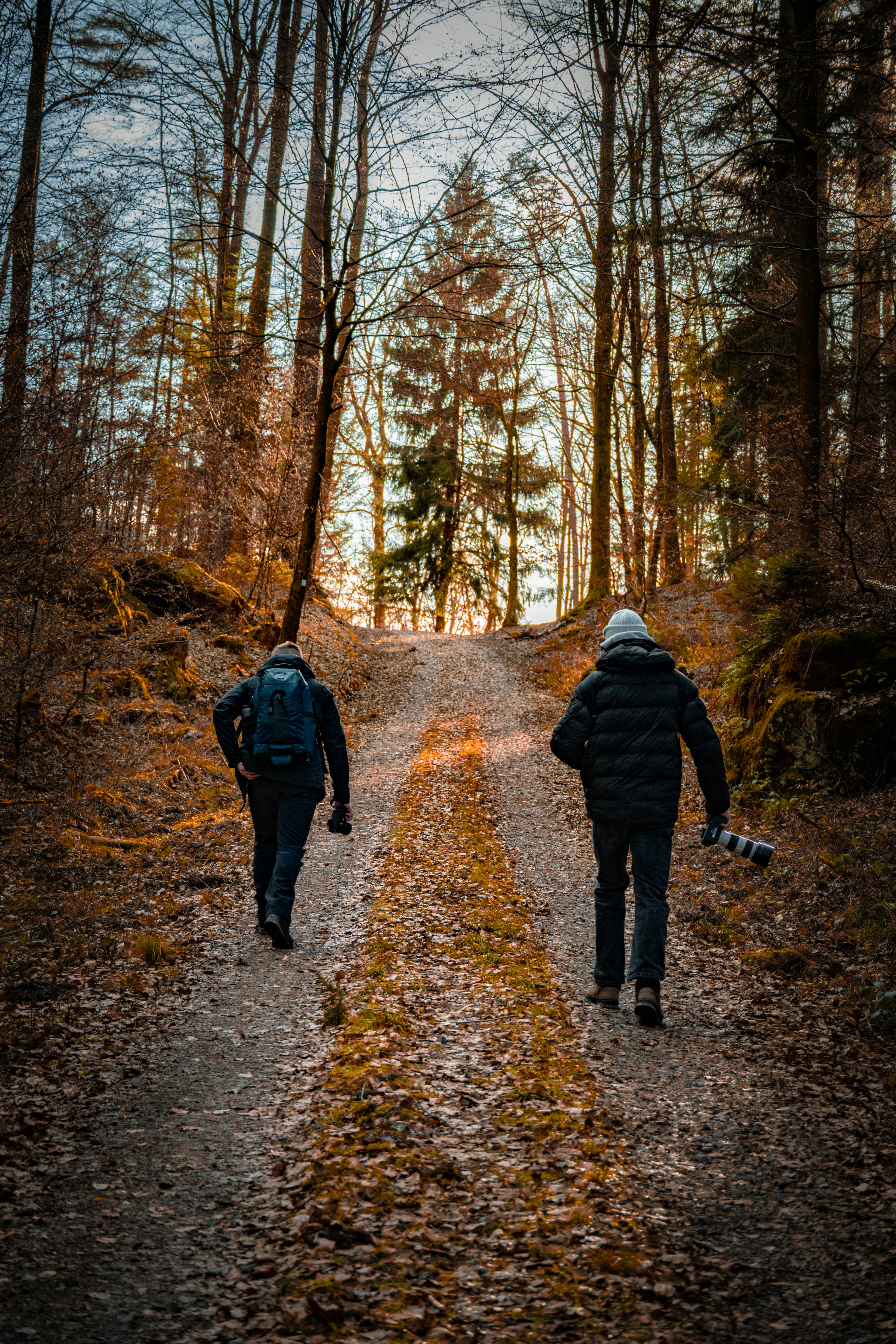 Forest Ascent: Two Photographers Trek Toward the Golden Light