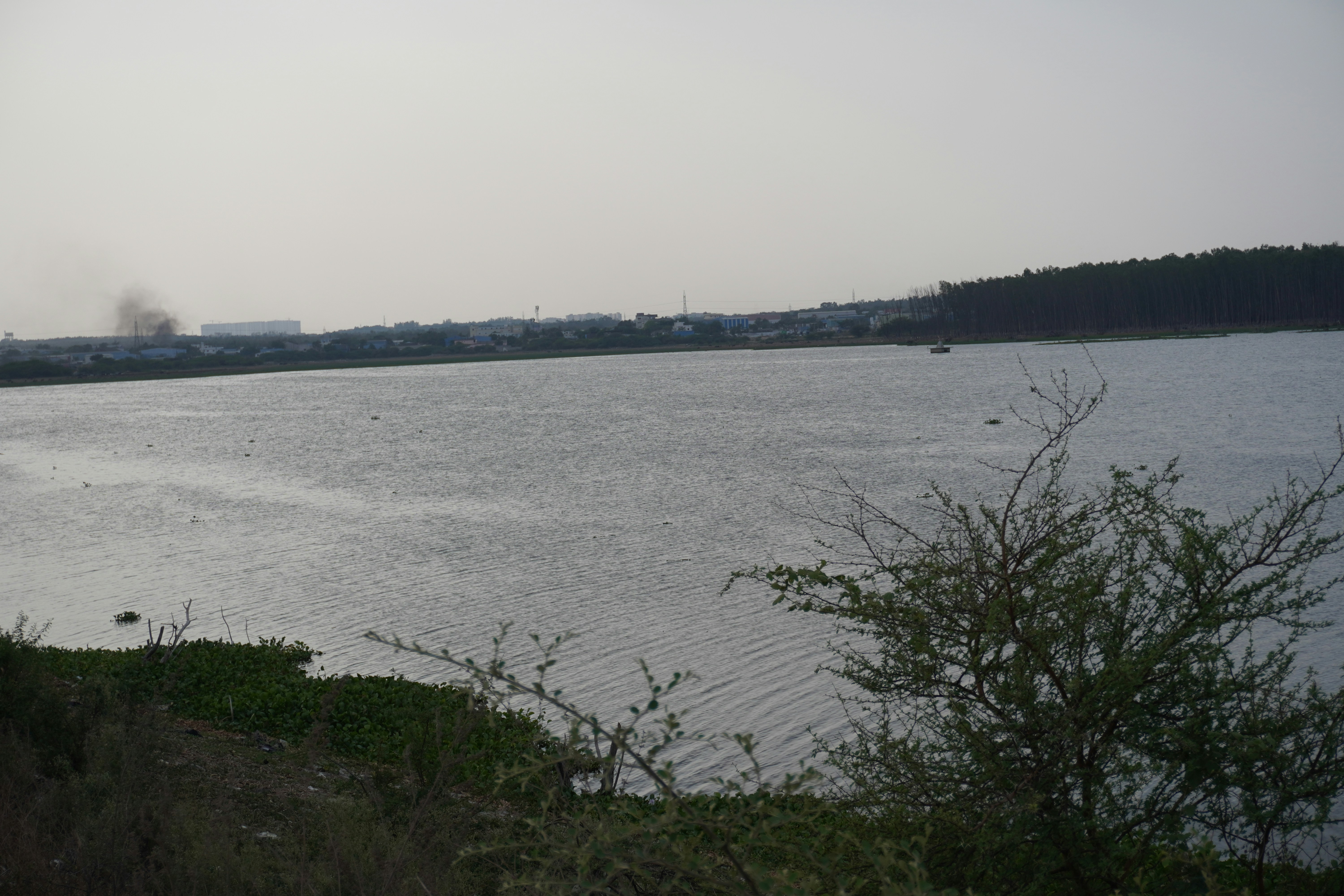 Low Tide by the Industrial Shore