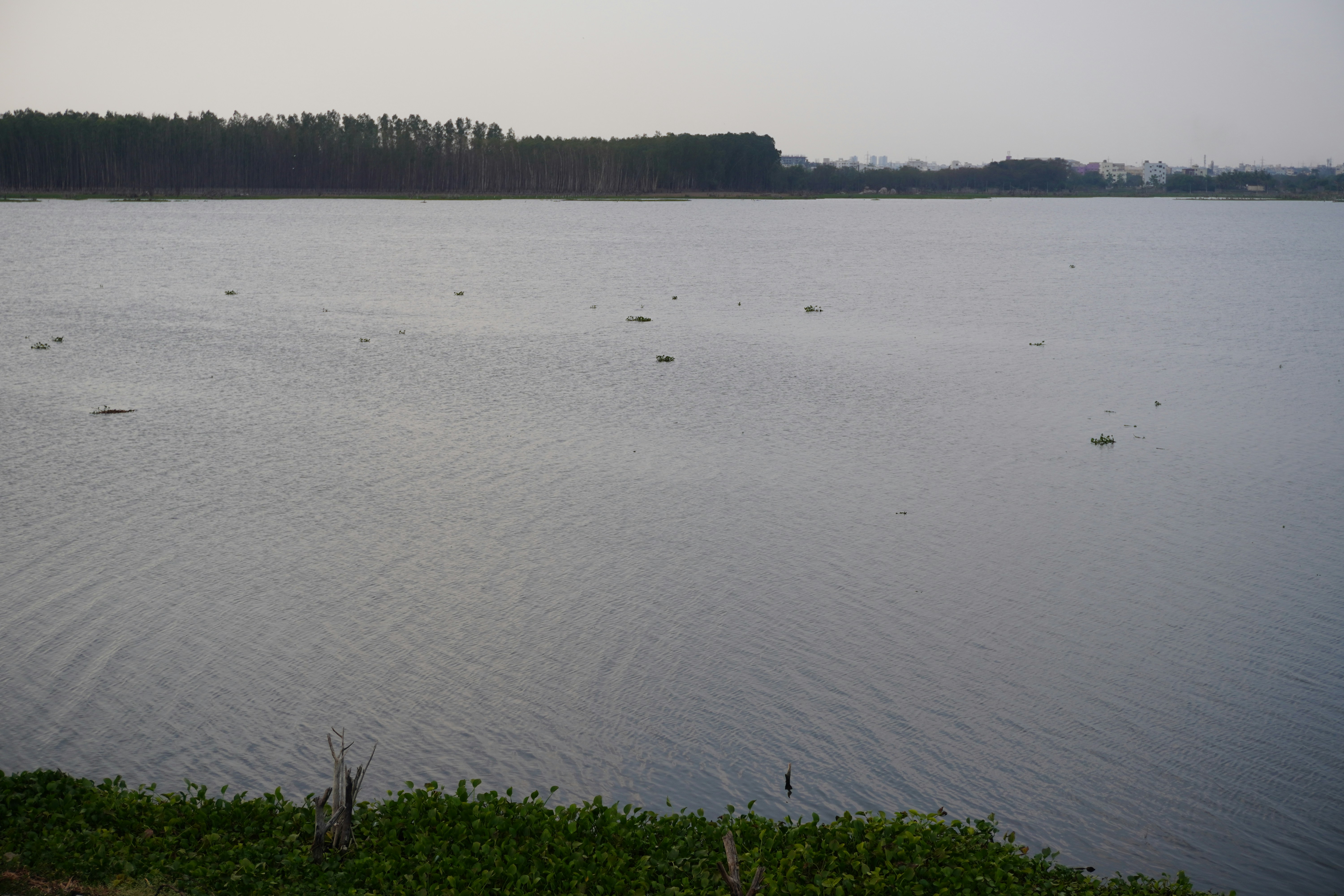 Muted Horizon Over a Quiet Waterplain