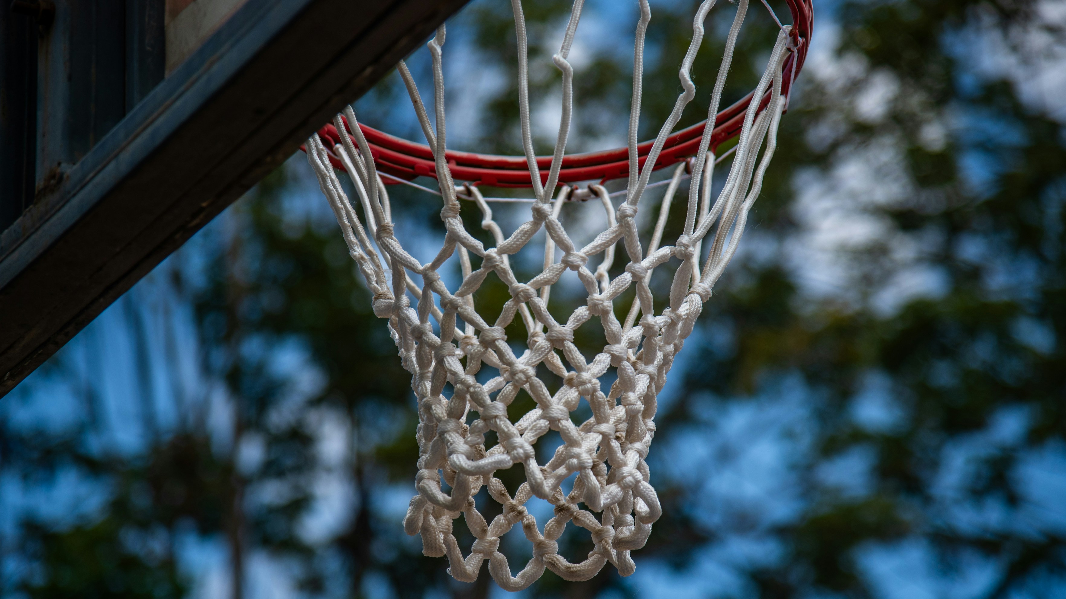 Basketball Hoop Against a Blur of Trees at Dusk