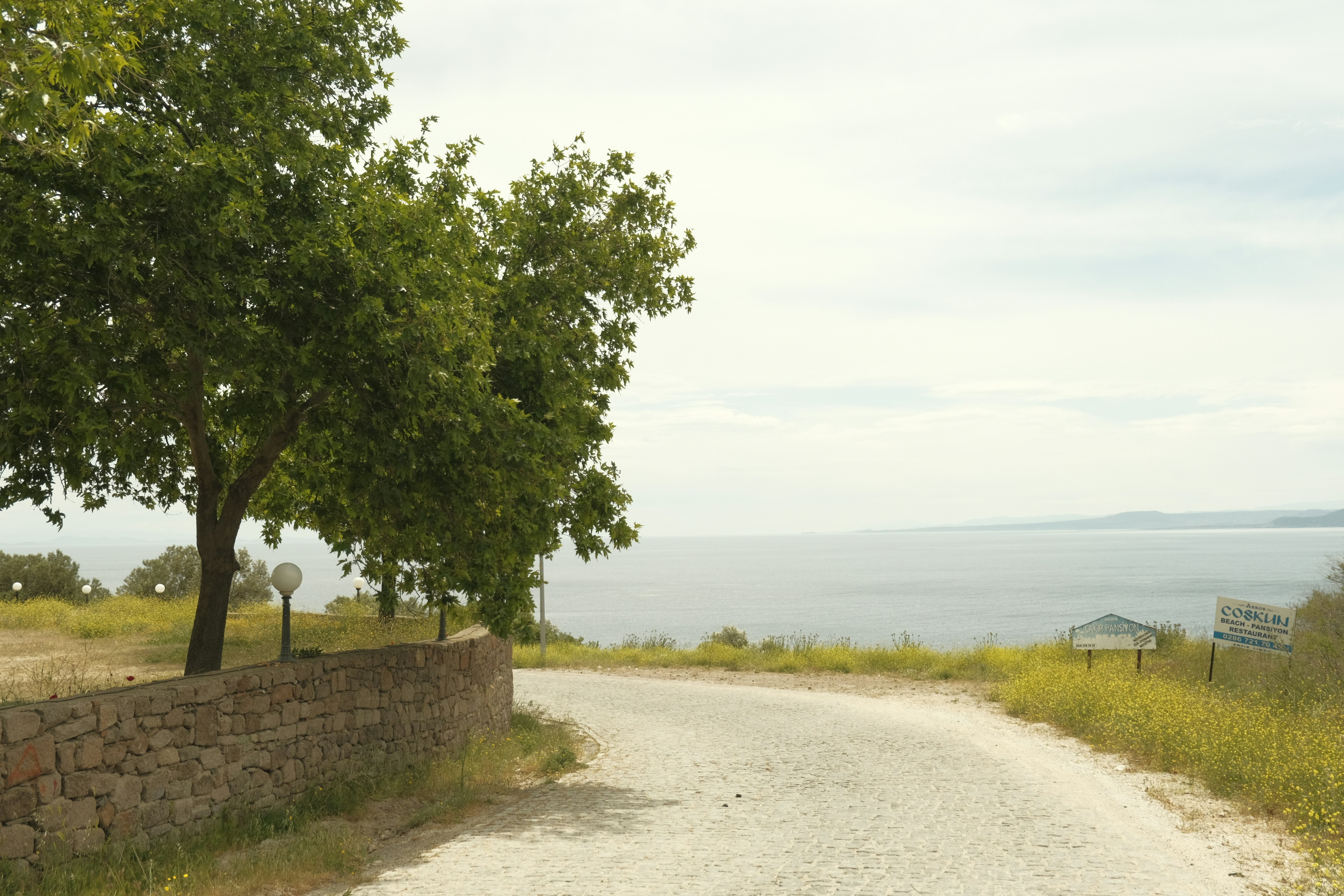 Shrub-lined Gravel Path toward the Lake