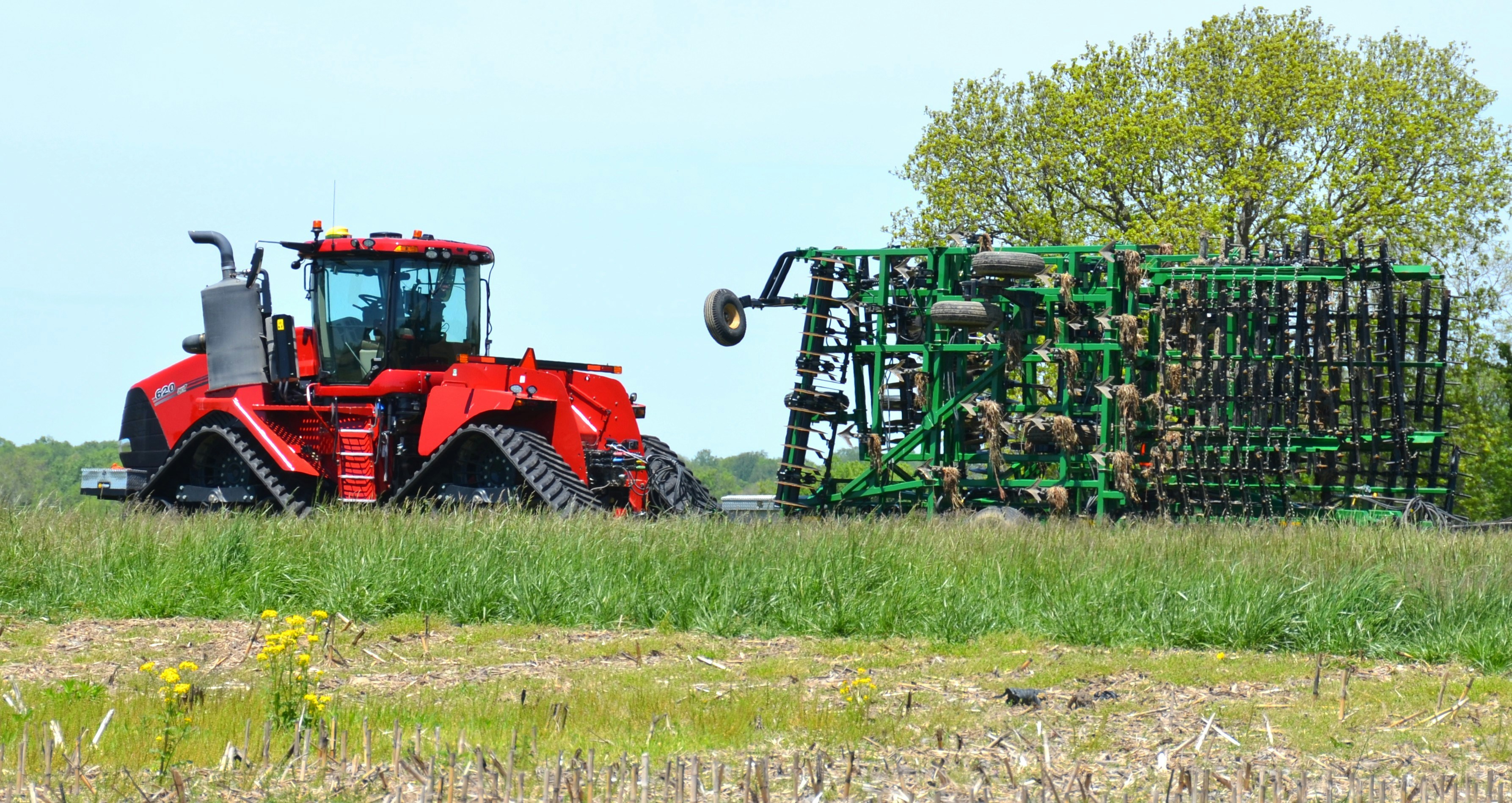 Red Giant and Green Wake: A Field Machinery Standstill